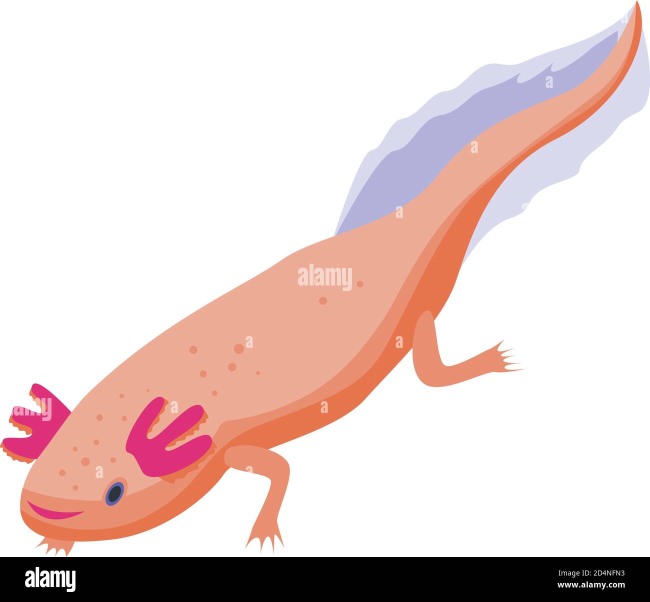 Mexican walking fish icon, isometric style Stock Vector Image & Art - Alamy