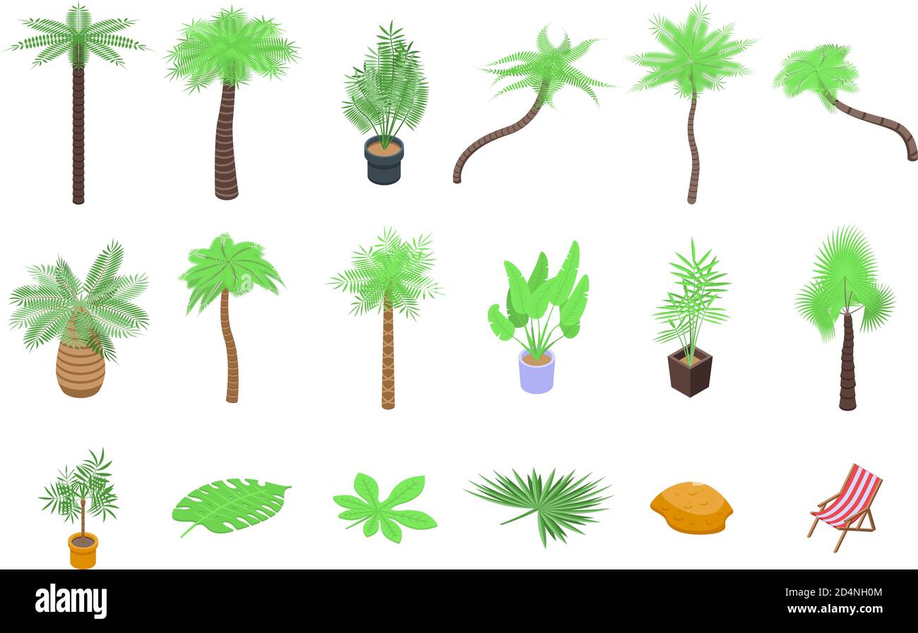 Palm tree icons set, isometric style Stock Vector Image & Art - Alamy
