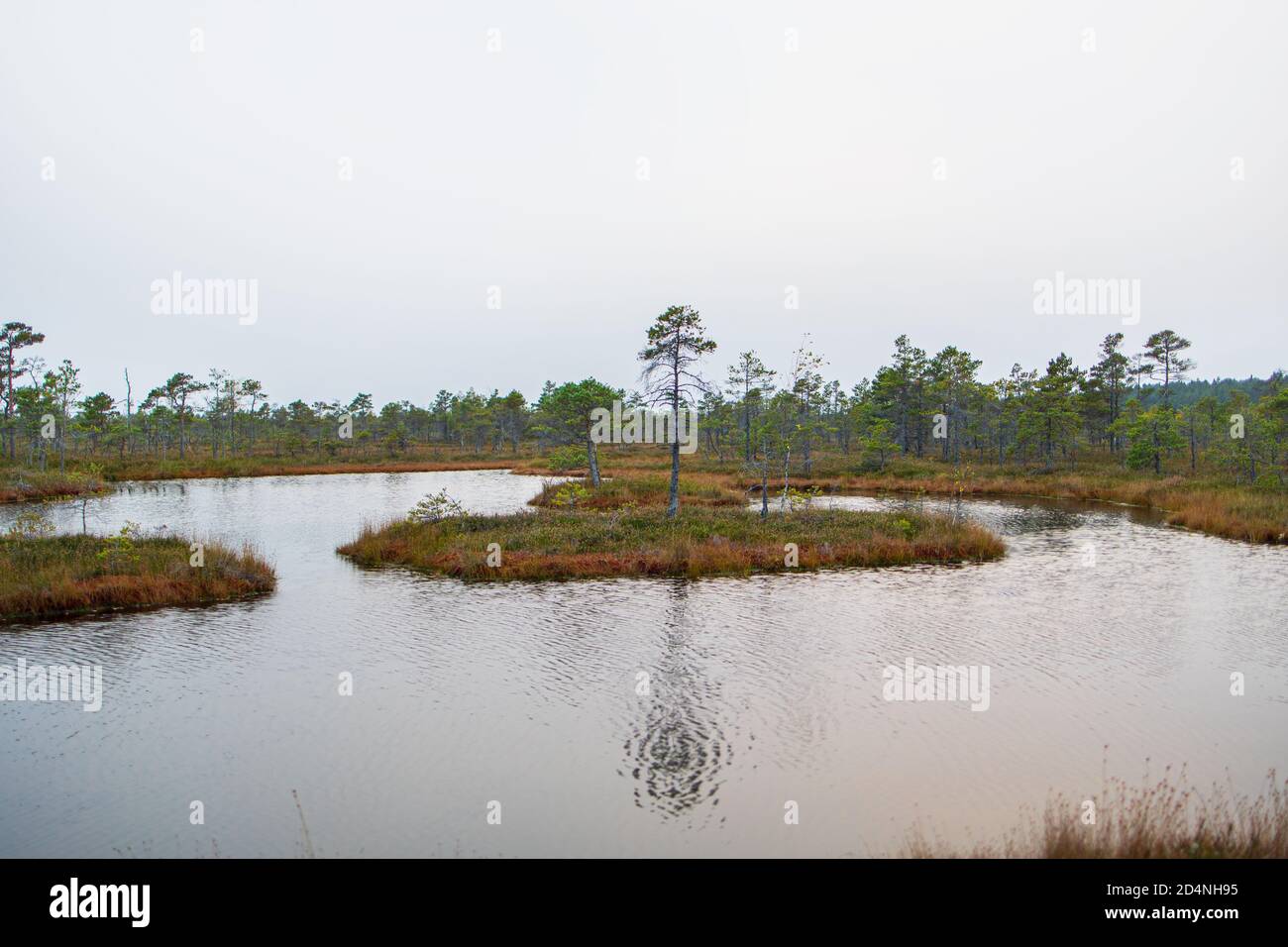 Landscape swamp lakes in hi-res stock photography and images - Alamy