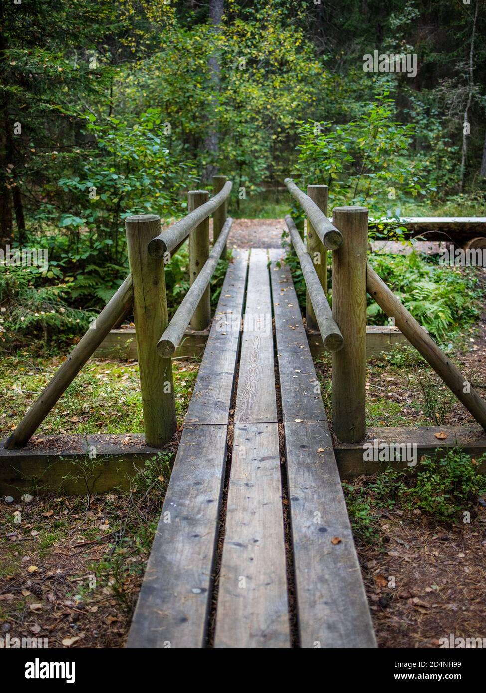 wooden nature trail through the forest Stock Photo - Alamy