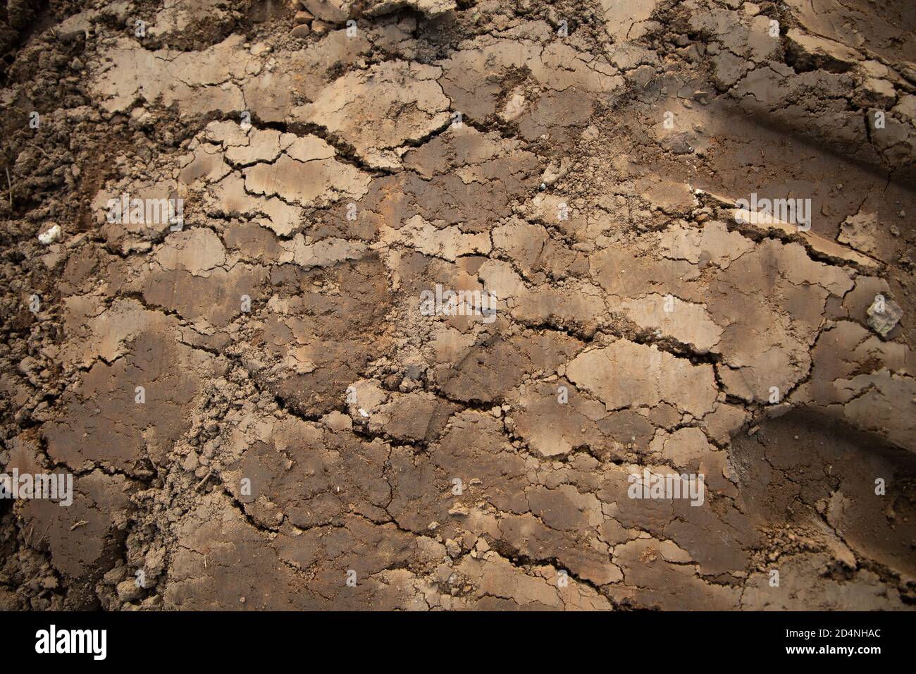 brown ground texture, top view Stock Photo - Alamy
