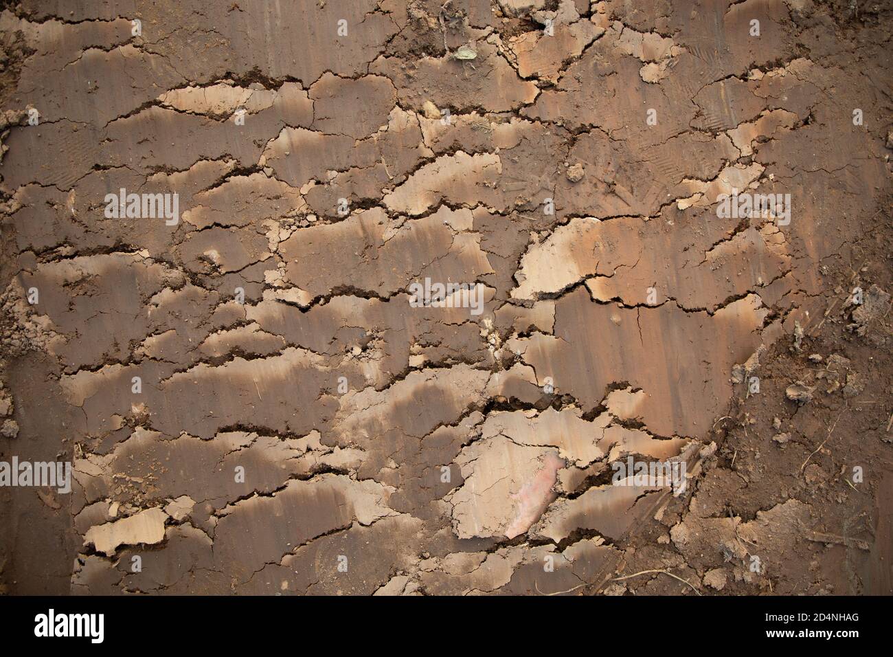 brown ground texture, top view Stock Photo - Alamy