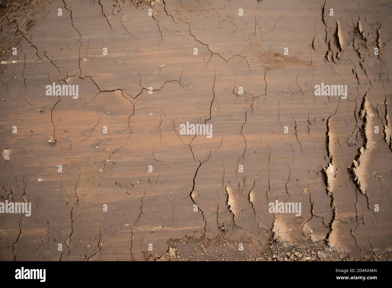 brown ground texture, top view Stock Photo - Alamy