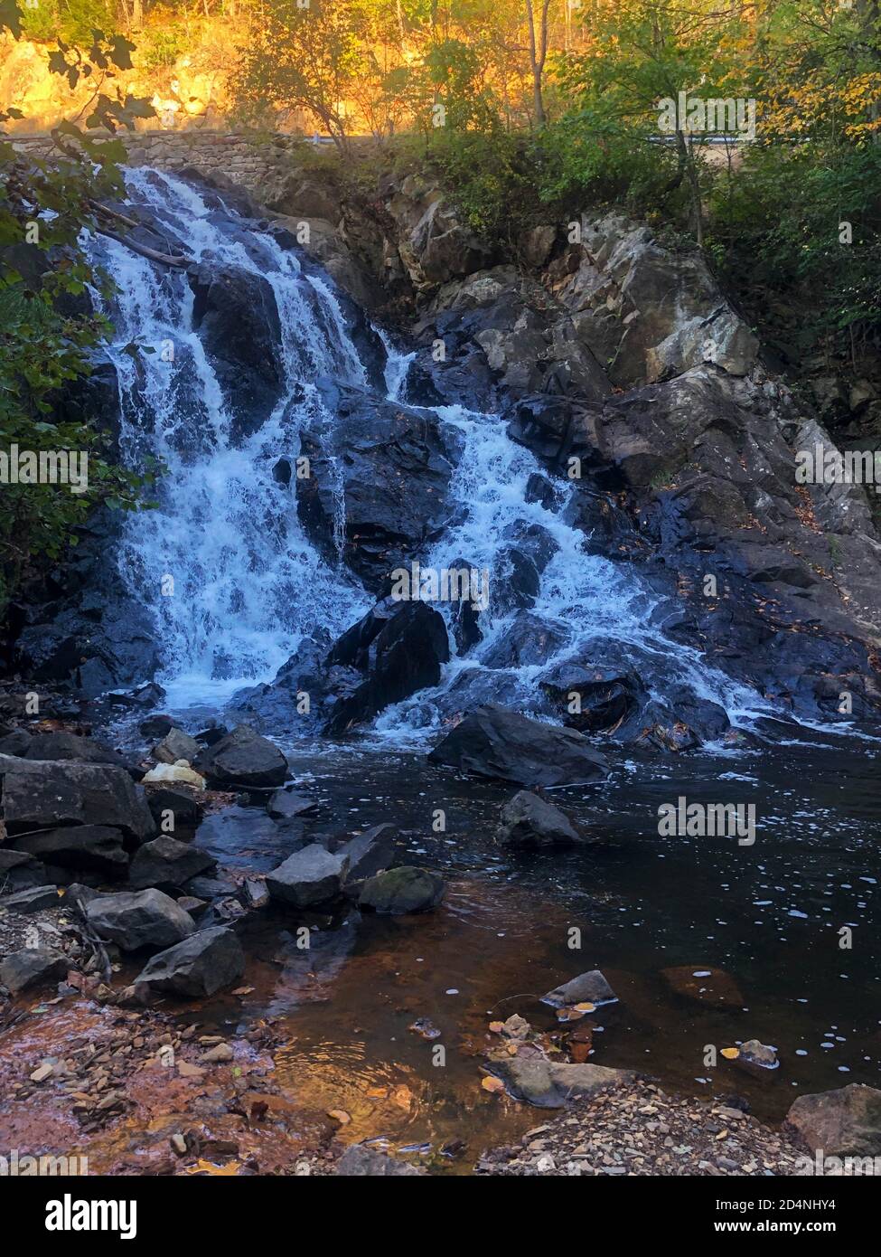 Water flowing behind autumn tree hi-res stock photography and images ...