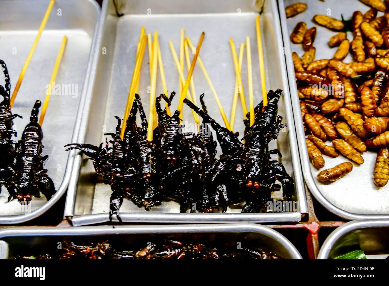 insect food in the market in bangkok thailand Stock Photo - Alamy