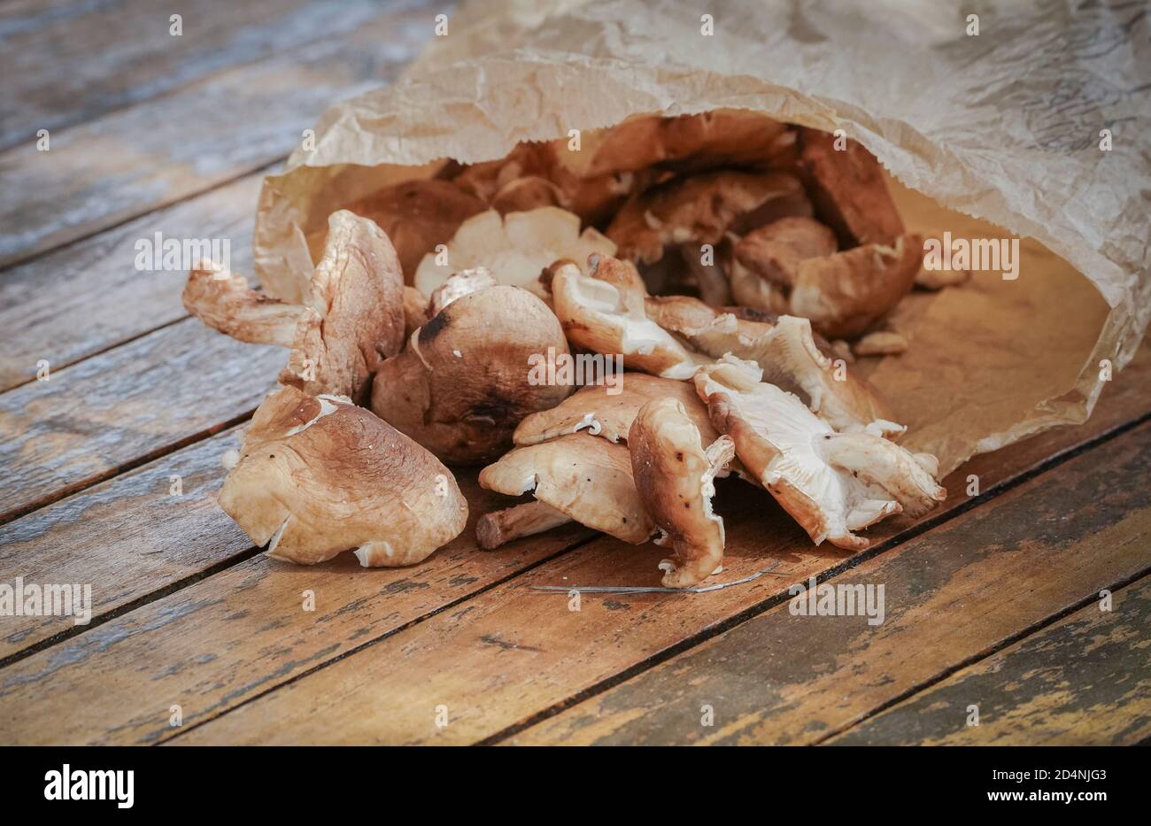 Shiitake mushrooms in paper hi-res stock photography and images - Alamy