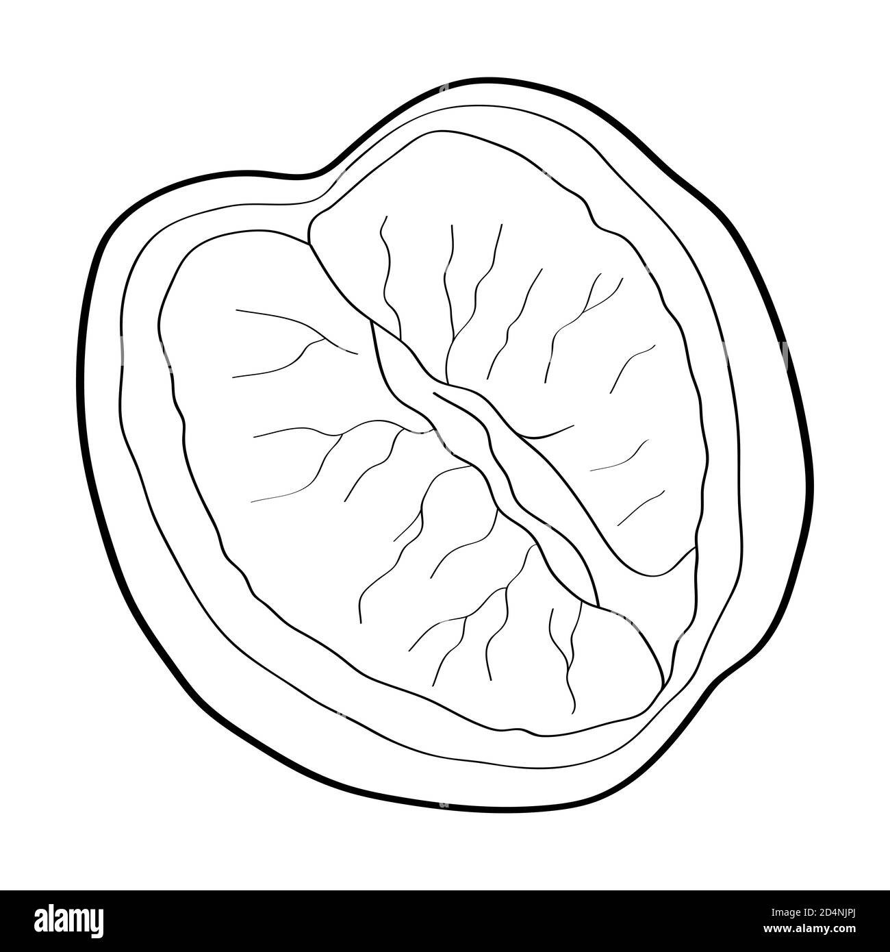 Whole orange icon Black and White Stock Photos & Images - Alamy