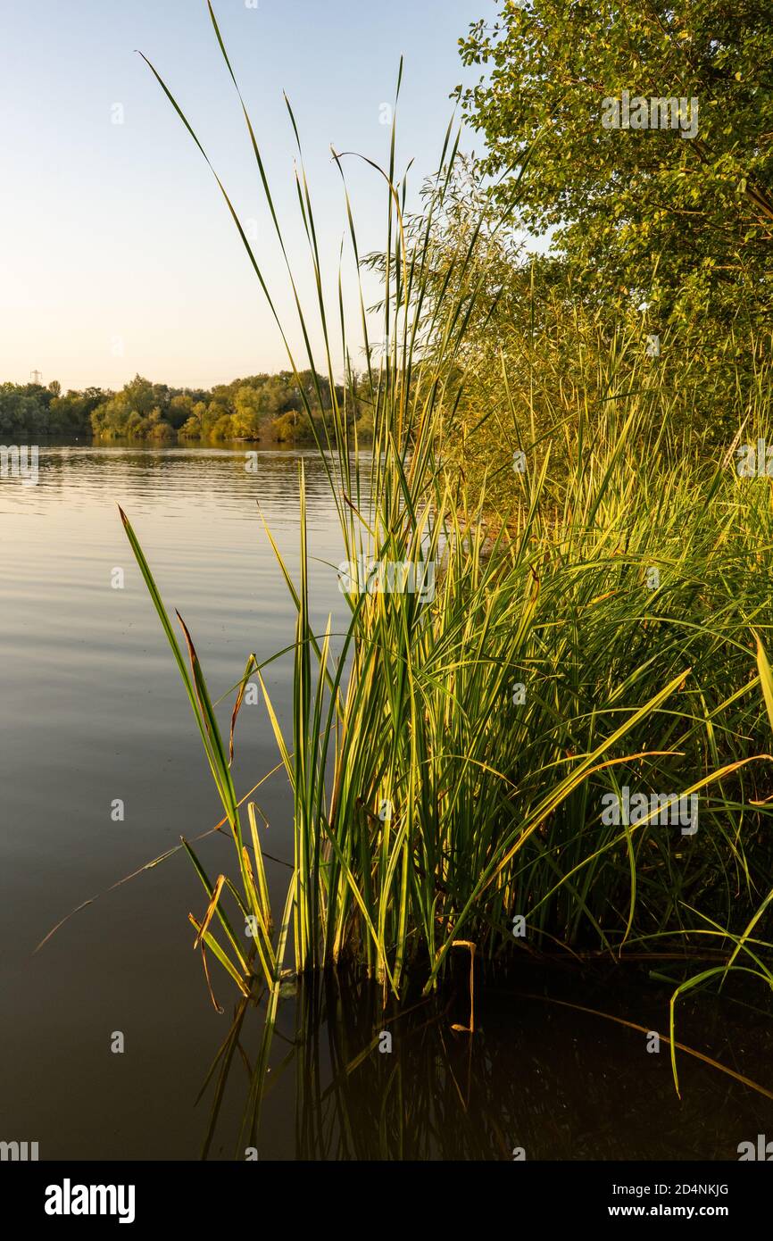 Lake with still water hi-res stock photography and images - Alamy