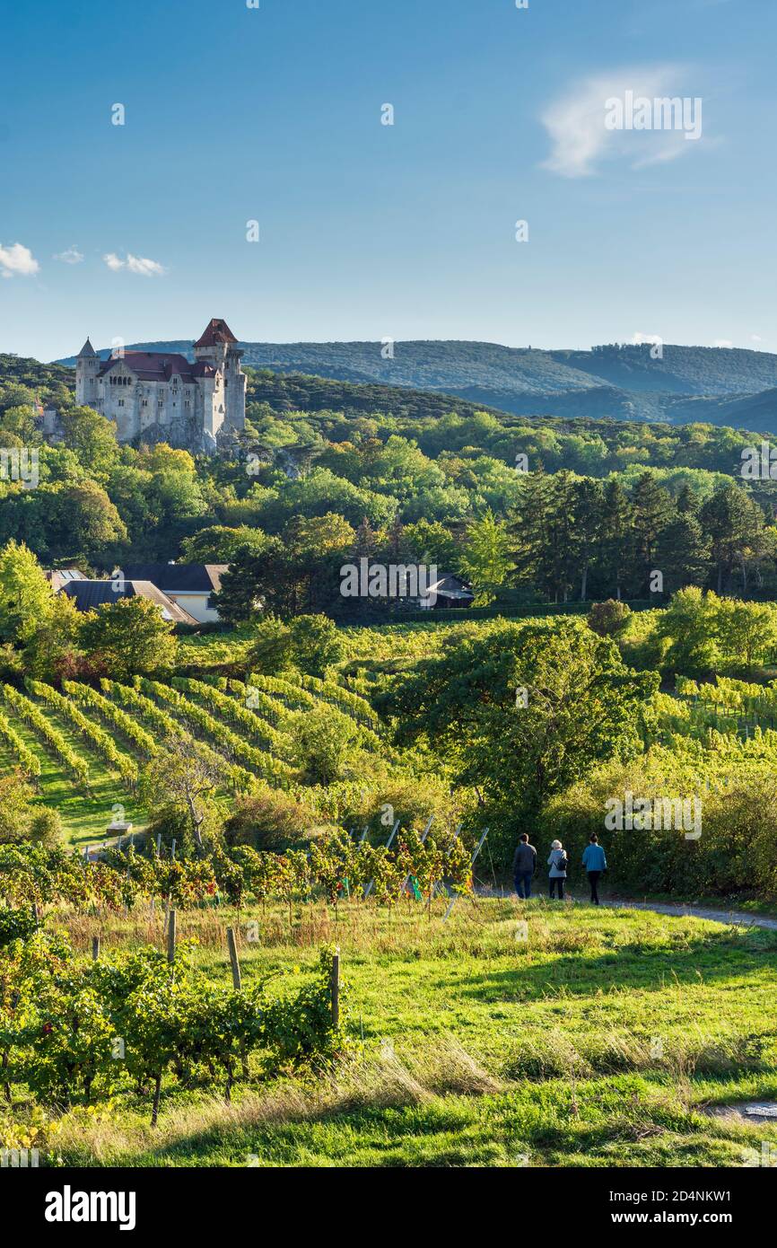 Vineyard in wienerwald vienna woods hi-res stock photography and images ...