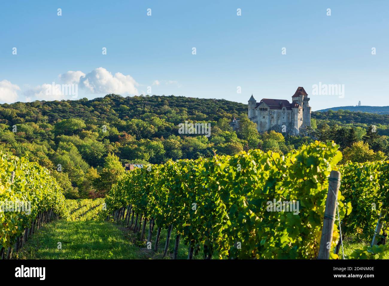 Vineyard in wienerwald vienna woods hi-res stock photography and images ...