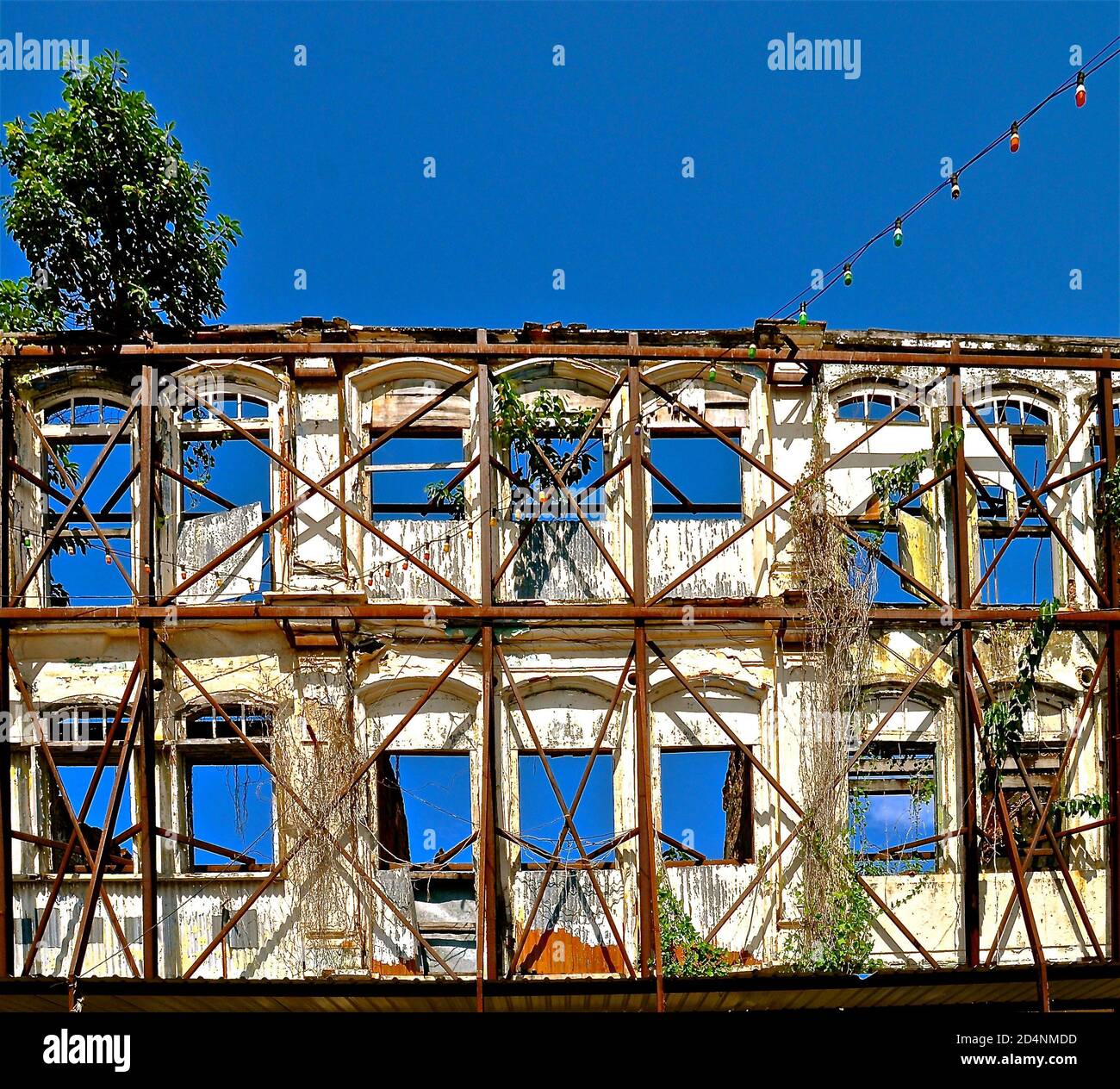 Derelict building overgrown with plants and trees, supported by rusty ...