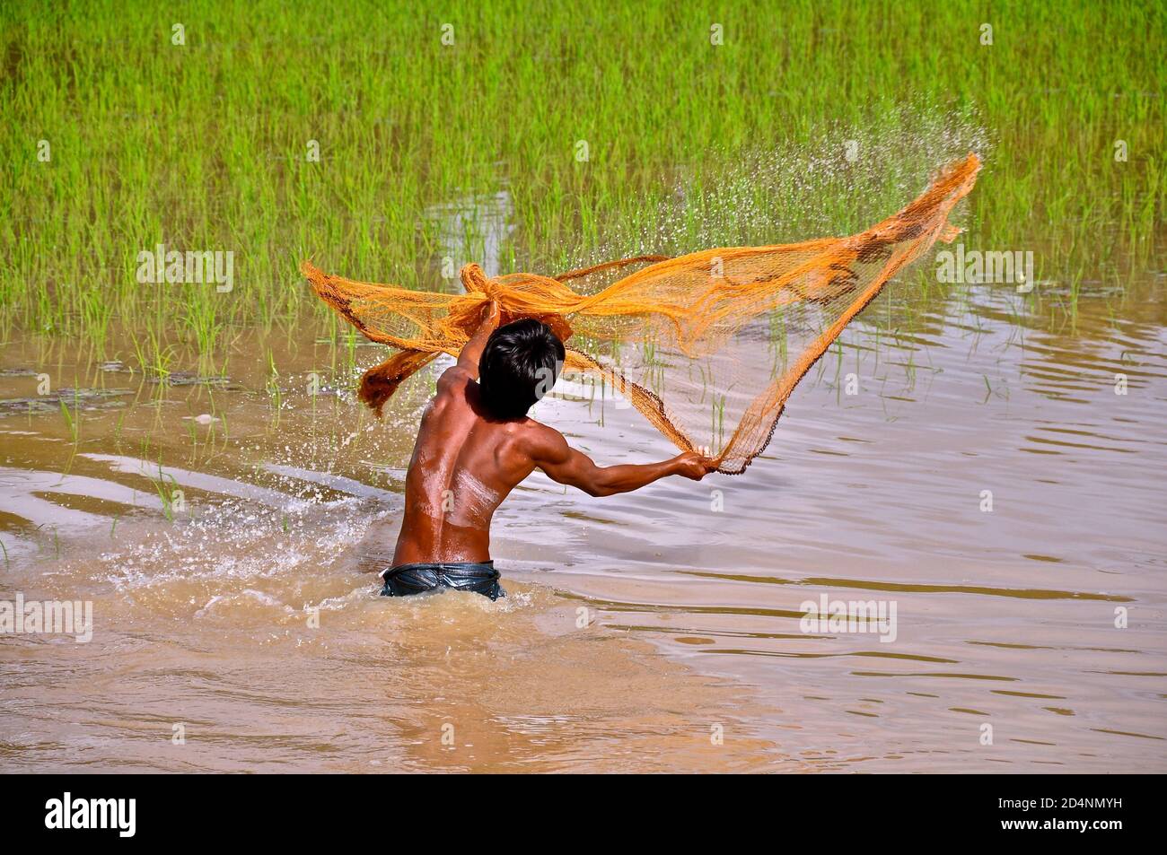 Rear view of a young Asian fisherman, standing waist deep in the water ...