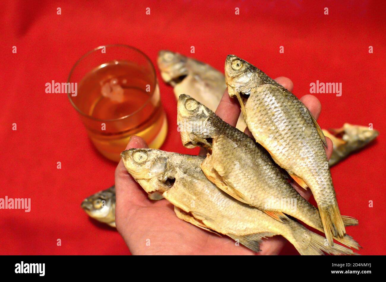 Dried salted fish Vobla on red background. Traditional Russian ...