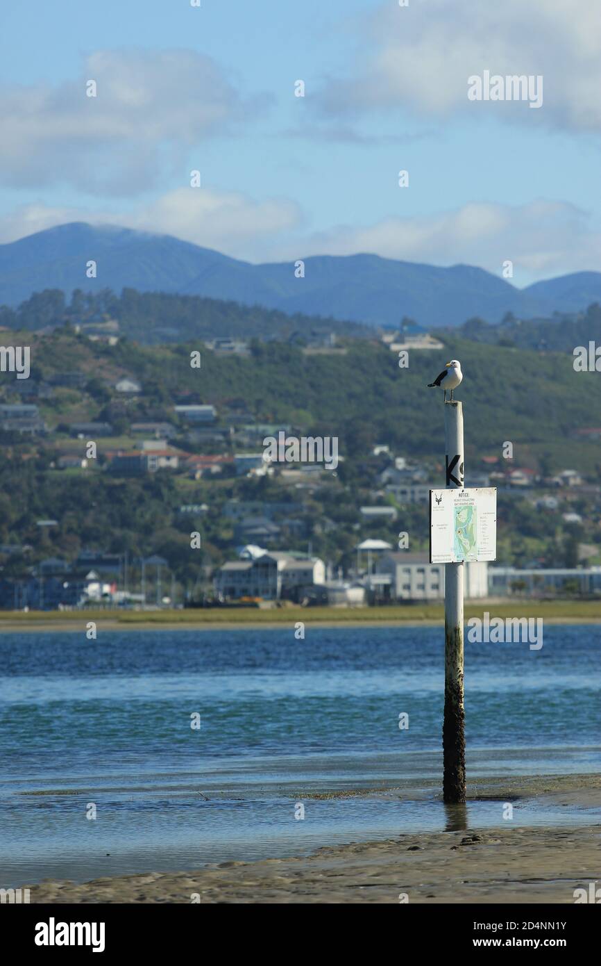 Lake in Knysna, South Africa, with part of the city as background Stock ...