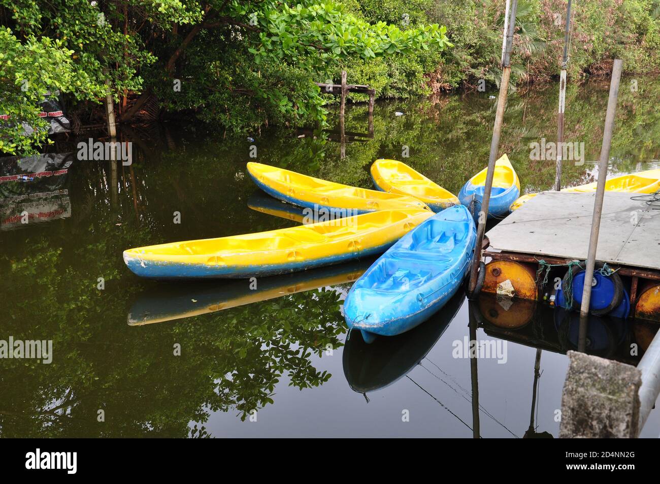 Blue and yellow plastic kayaks moored against a rustic wooden jetty on ...
