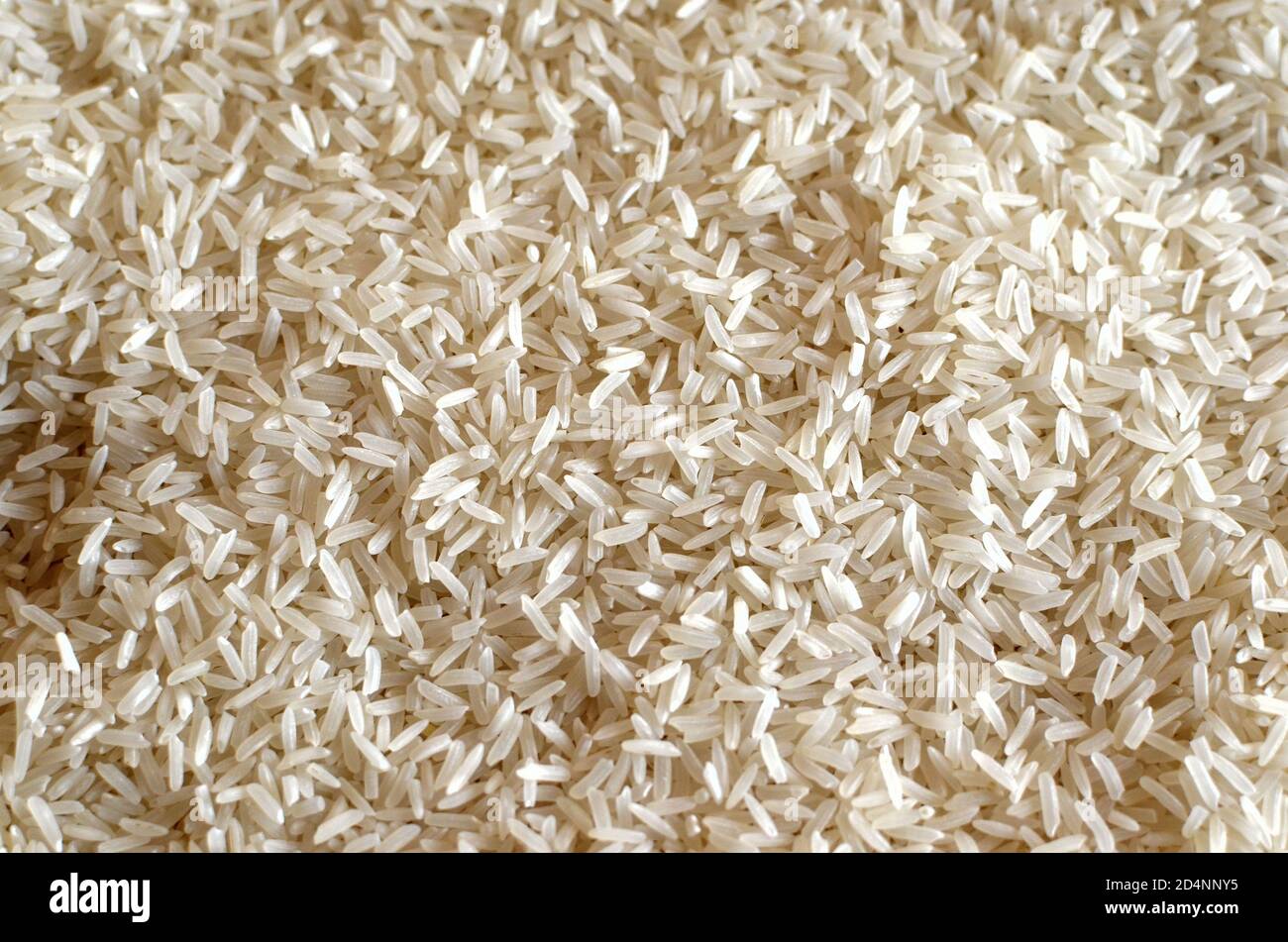 Uncooked asian white rice or Long white rice grain as background Stock Photo - Alamy