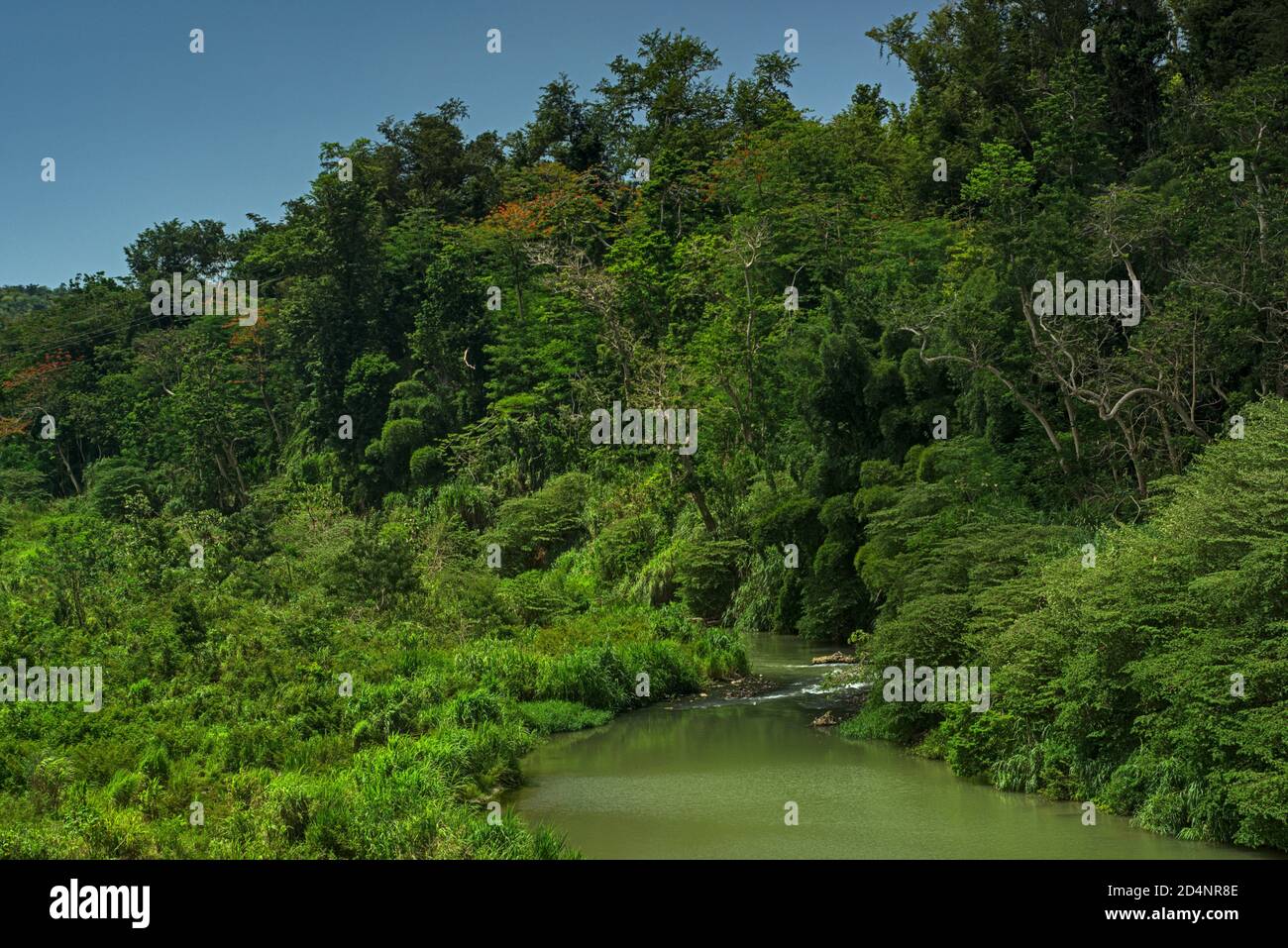 Manati river hi-res stock photography and images - Alamy