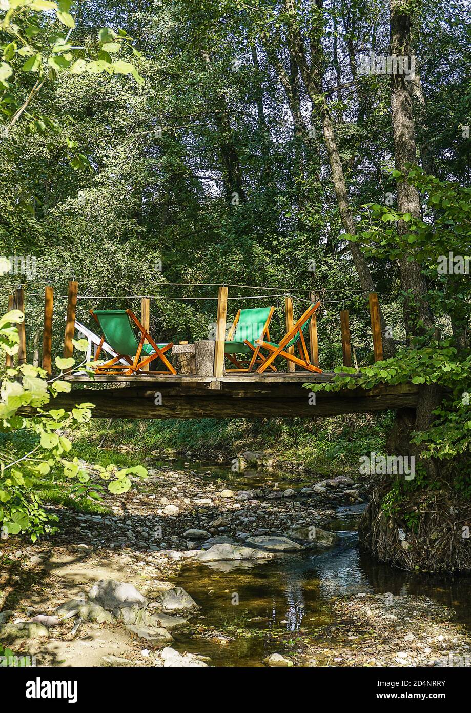 Terrace above little stream in forest Stock Photo - Alamy
