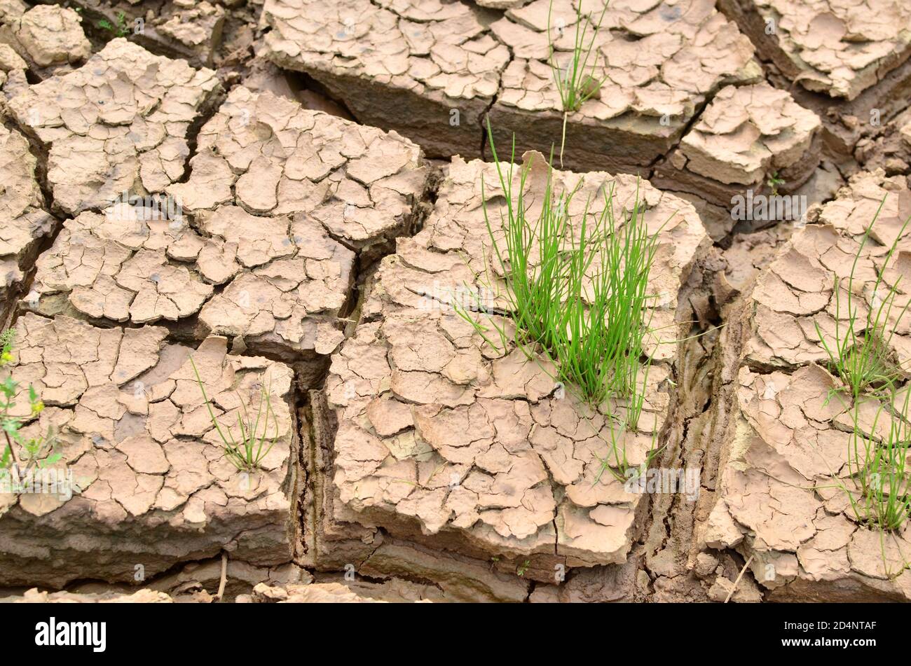 Global warming drought consumption hi-res stock photography and images ...