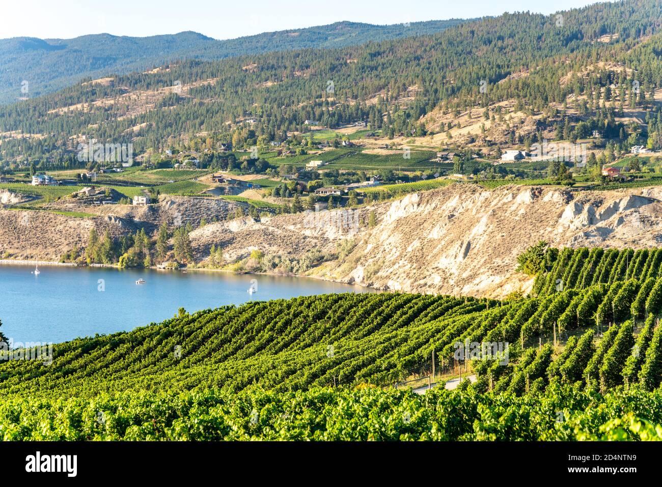 Country western background hi-res stock photography and images - Alamy