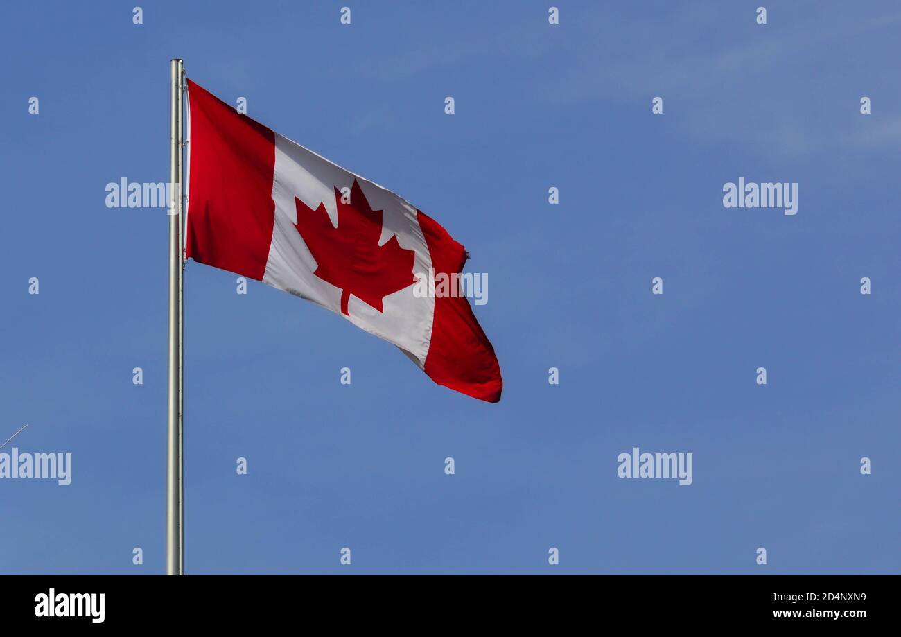 Flag leaf hi-res stock photography and images - Alamy