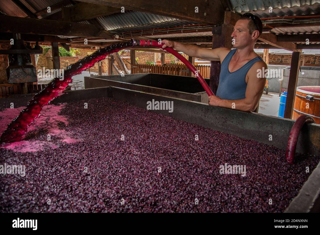 Pumping Wine High Resolution Stock Photography and Images - Alamy