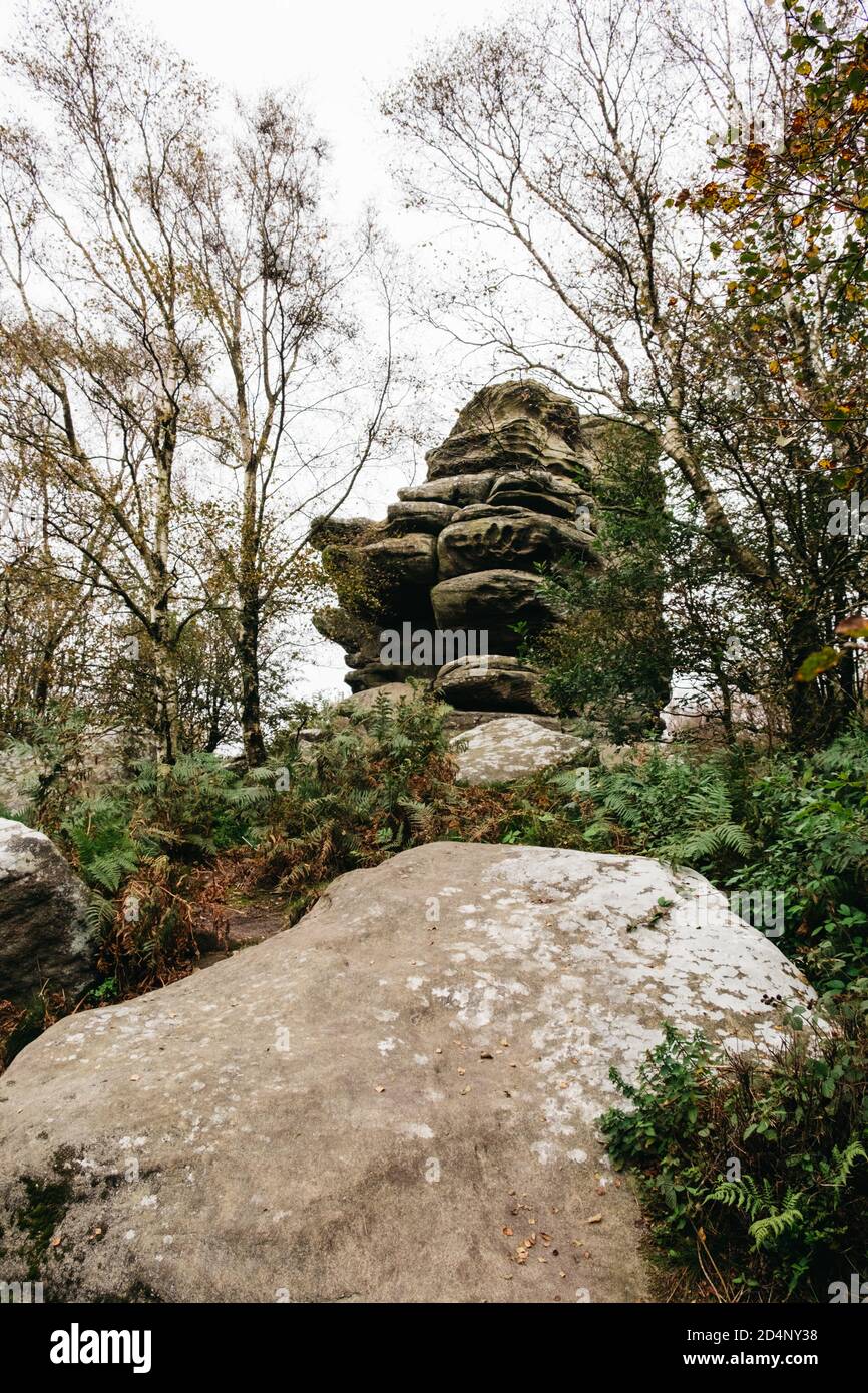 Rock formation at Brimham Rocks Stock Photo - Alamy