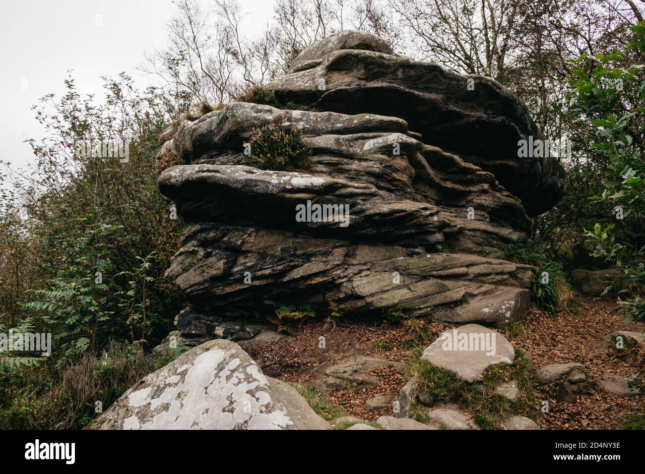 Rock formation at Brimham Rocks Stock Photo - Alamy