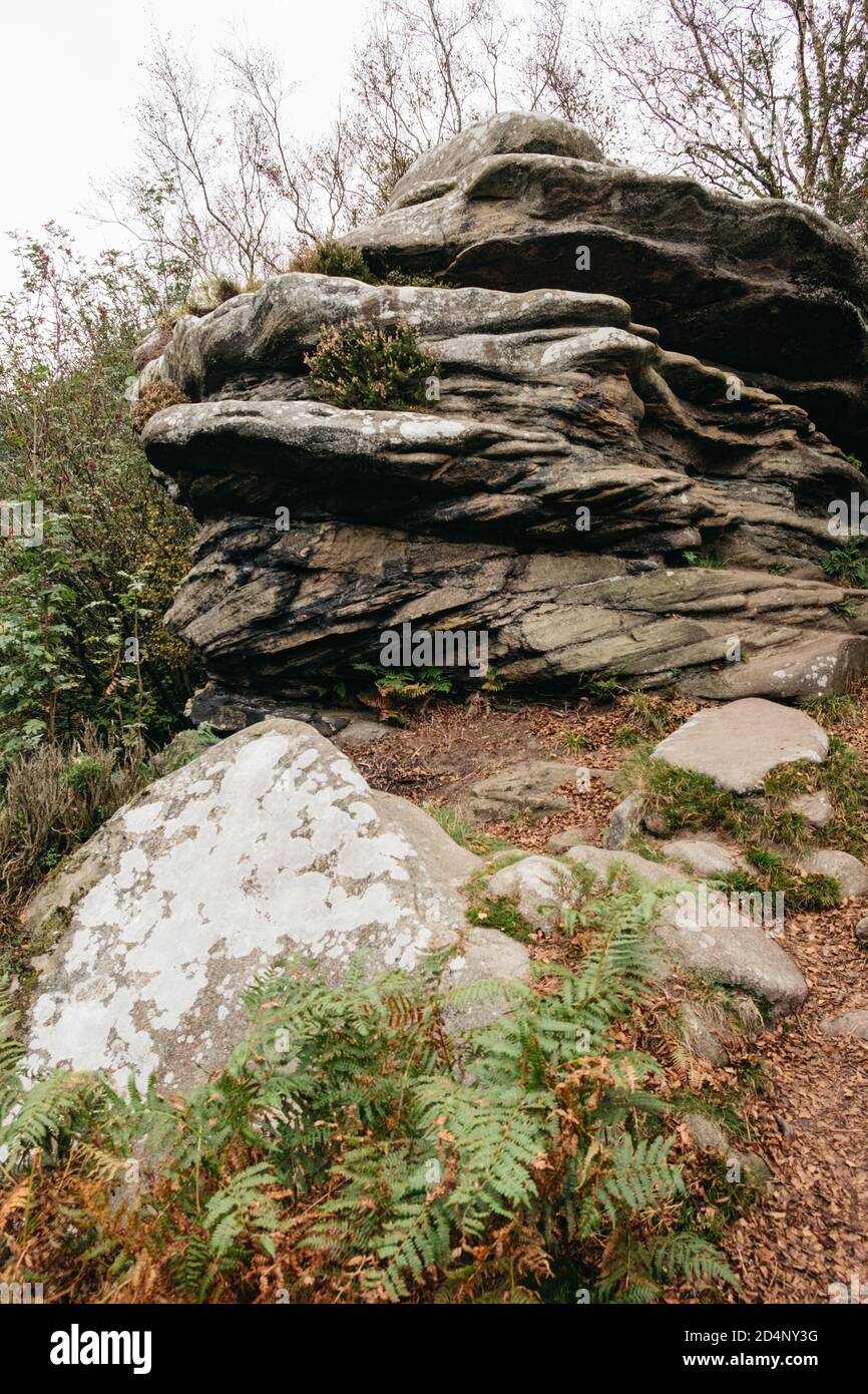 Rock formation at Brimham Rocks Stock Photo - Alamy