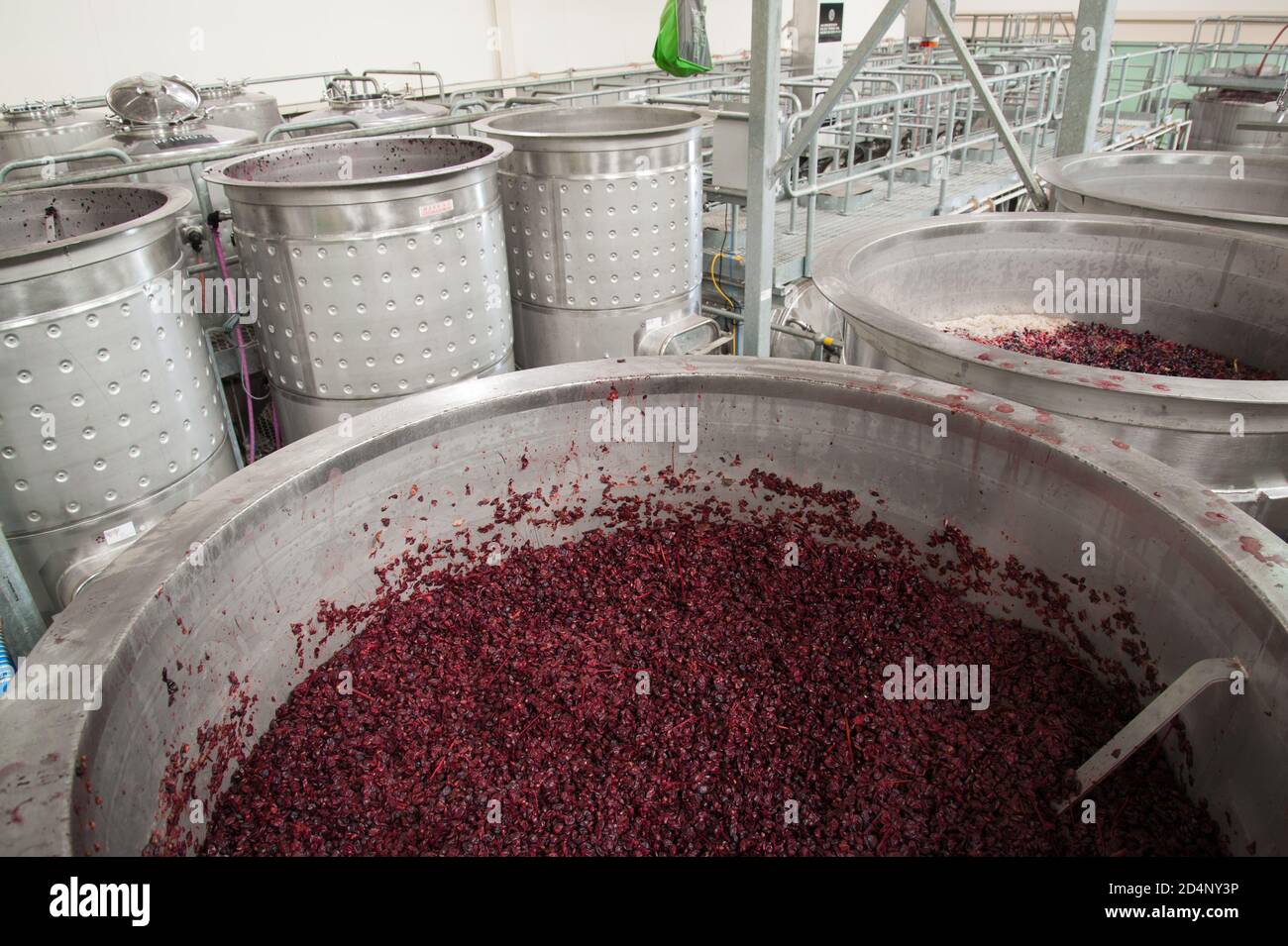 Red winegrapes fermenting in stainless steel open fermenters Stock ...