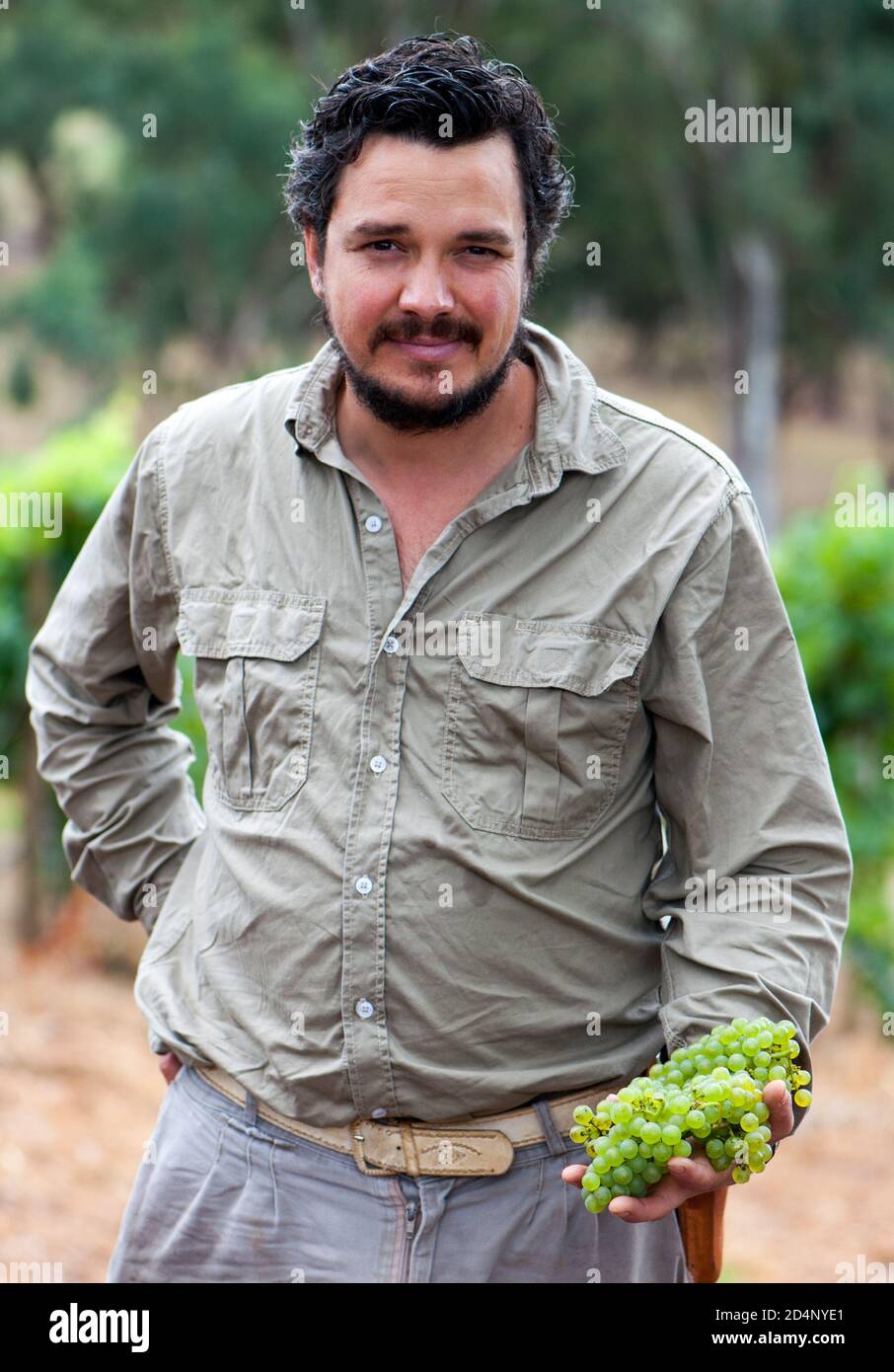 Lenswood vineyard hi-res stock photography and images - Alamy
