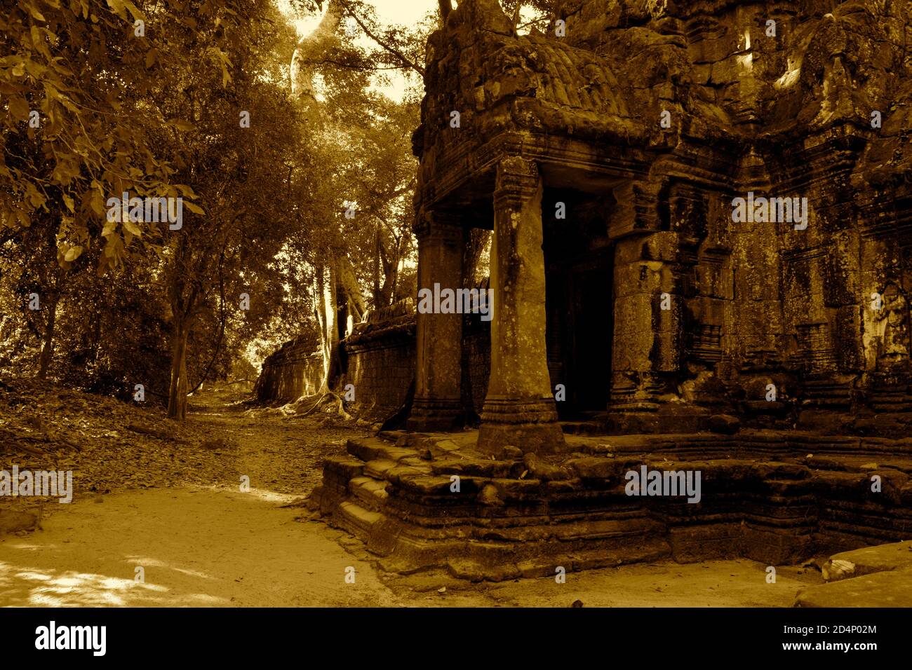 Stone Carvings and Pillars of Ankor Wat Temples Stock Photo - Alamy