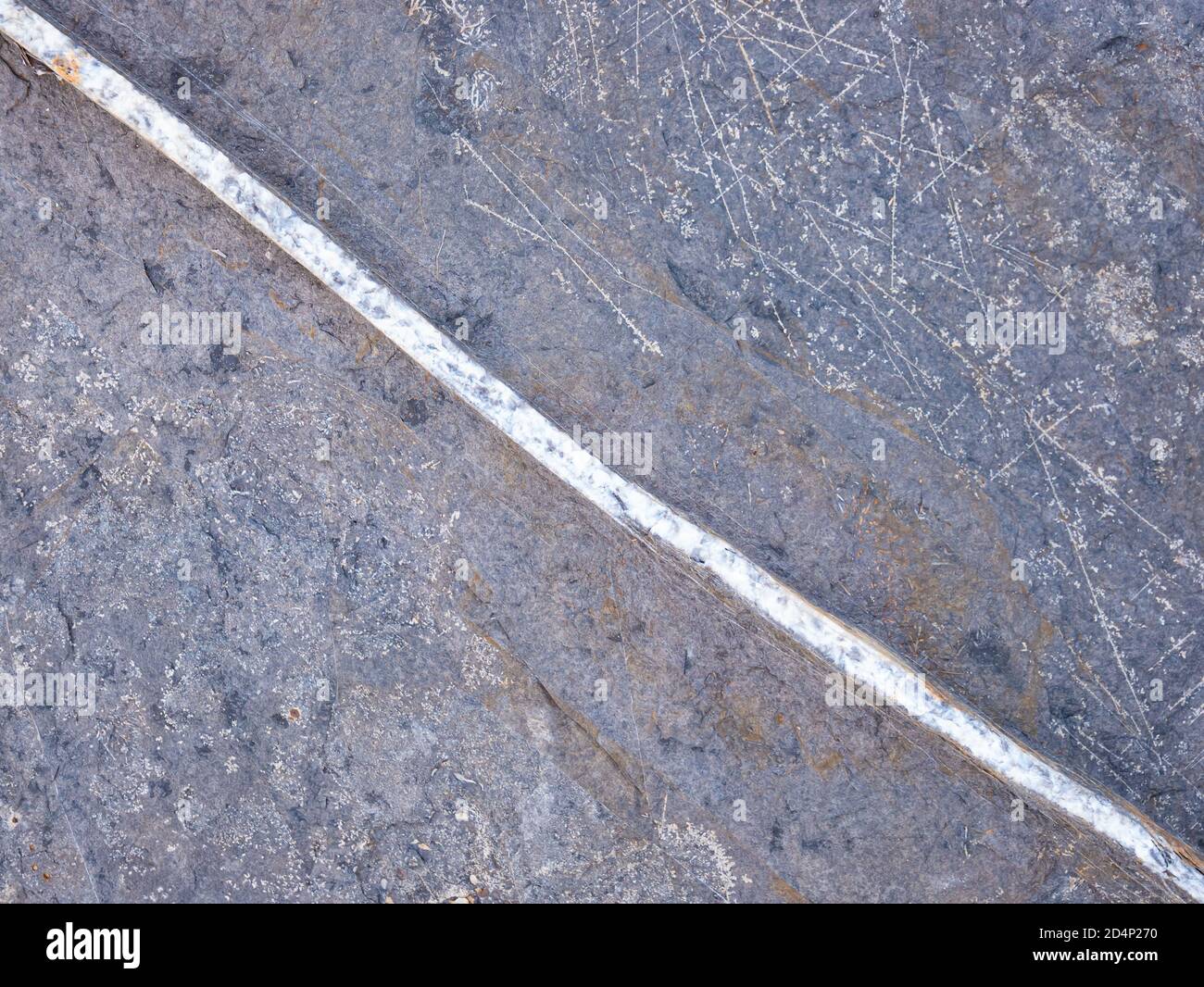 Abstract background. Black and white texture. Image with grayscale ...