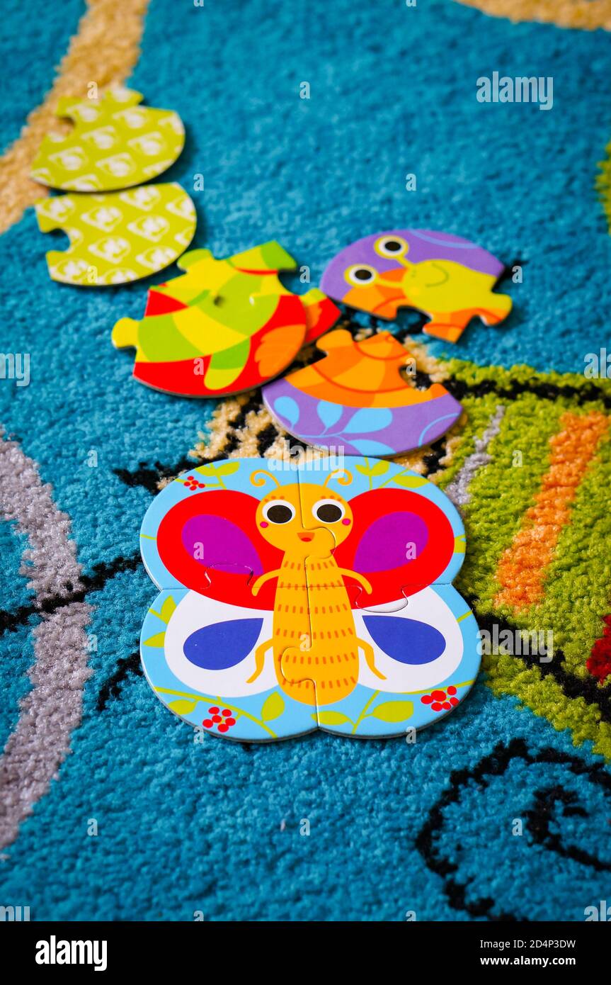 Insect puzzle hi-res stock photography and images - Alamy