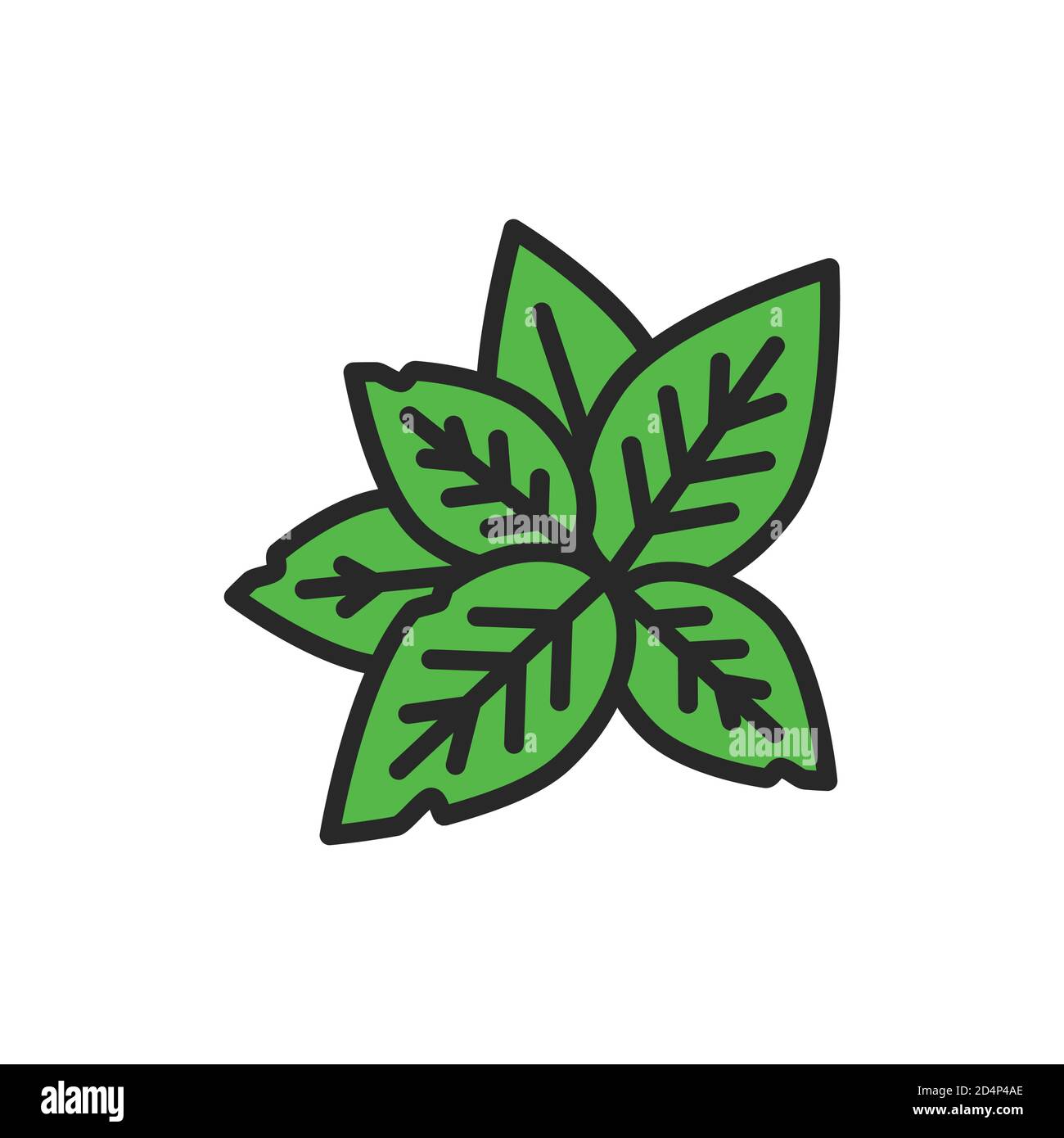 Fresh mint leaves color icon. Vector illustration Stock Vector Image ...