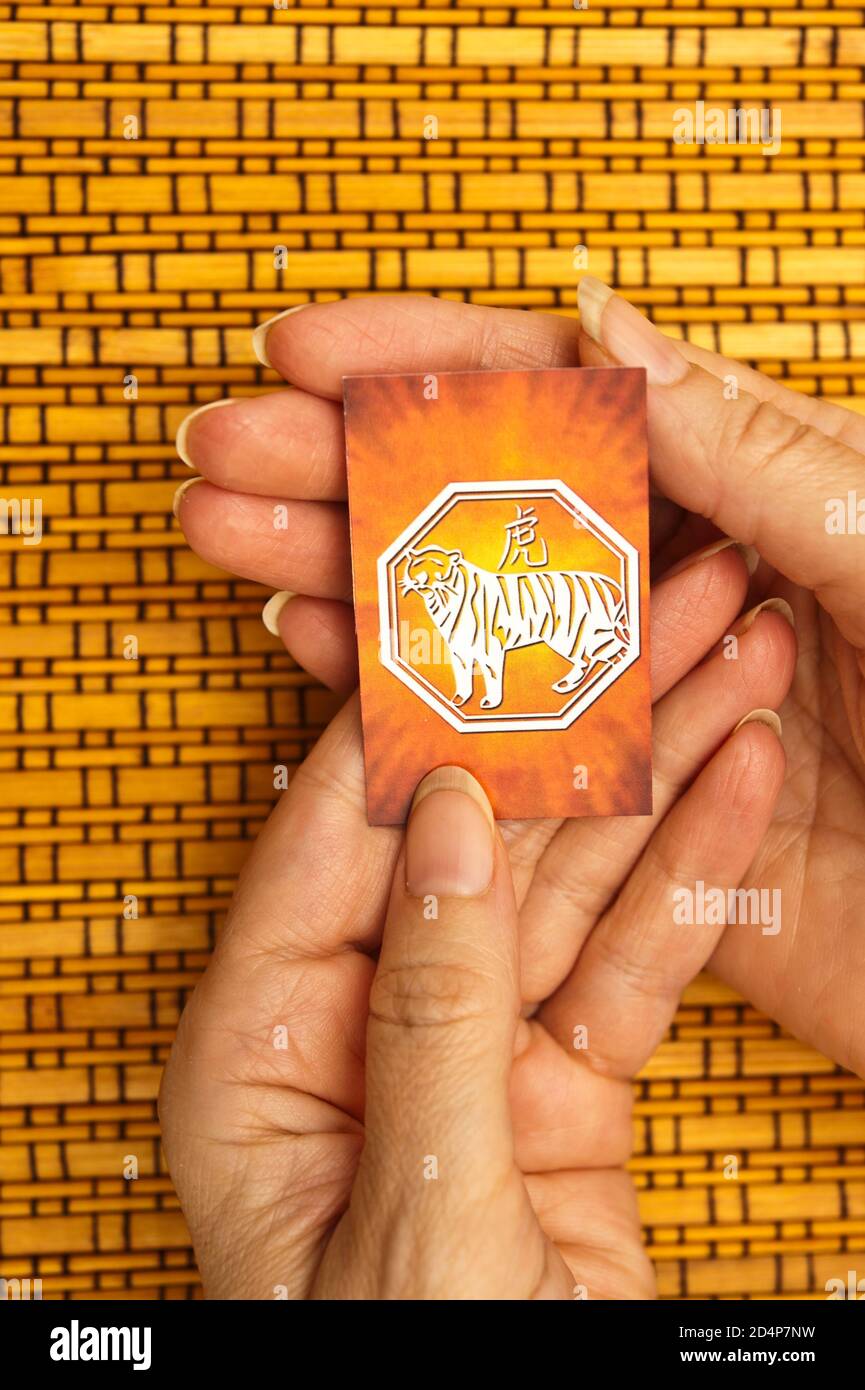 hand holding a card of the Chinese horoscope sign Tiger Stock Photo - Alamy