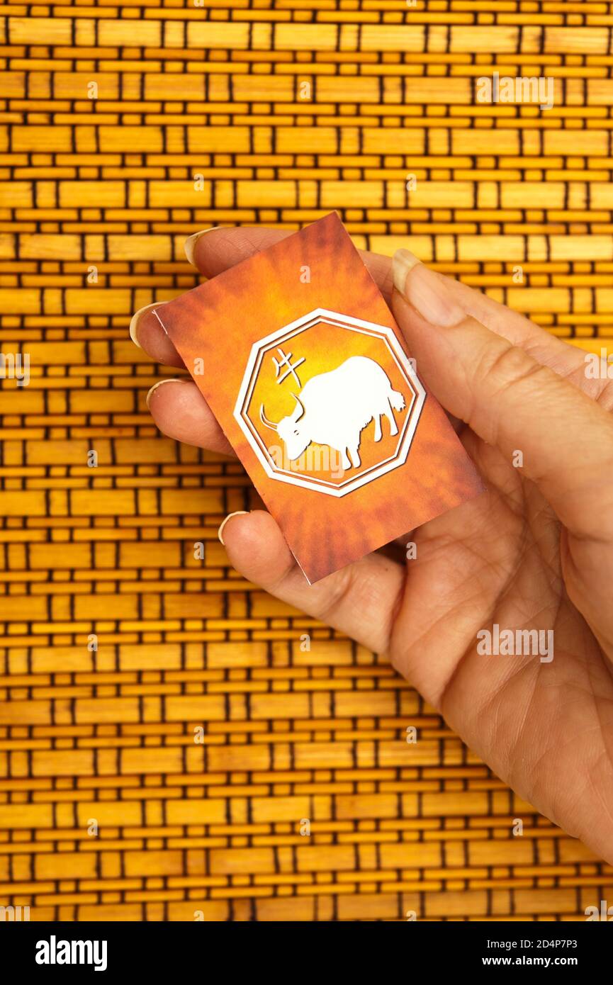 hand holding a card of the Chinese horoscope sign Ox Stock Photo - Alamy