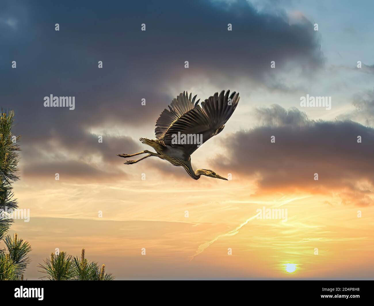 Magnificent sky hi-res stock photography and images - Alamy