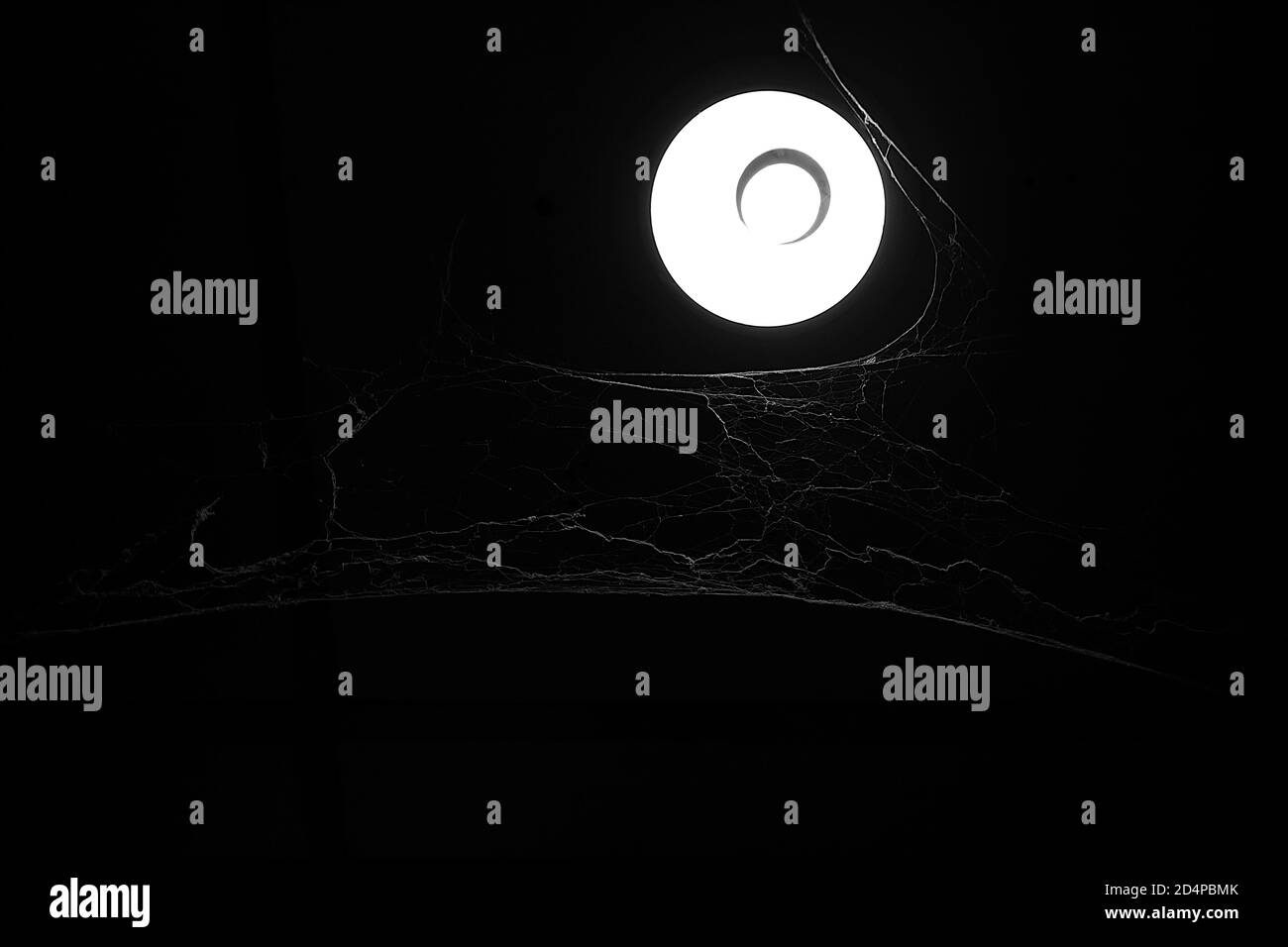 Ceiling cobweb hi-res stock photography and images - Alamy