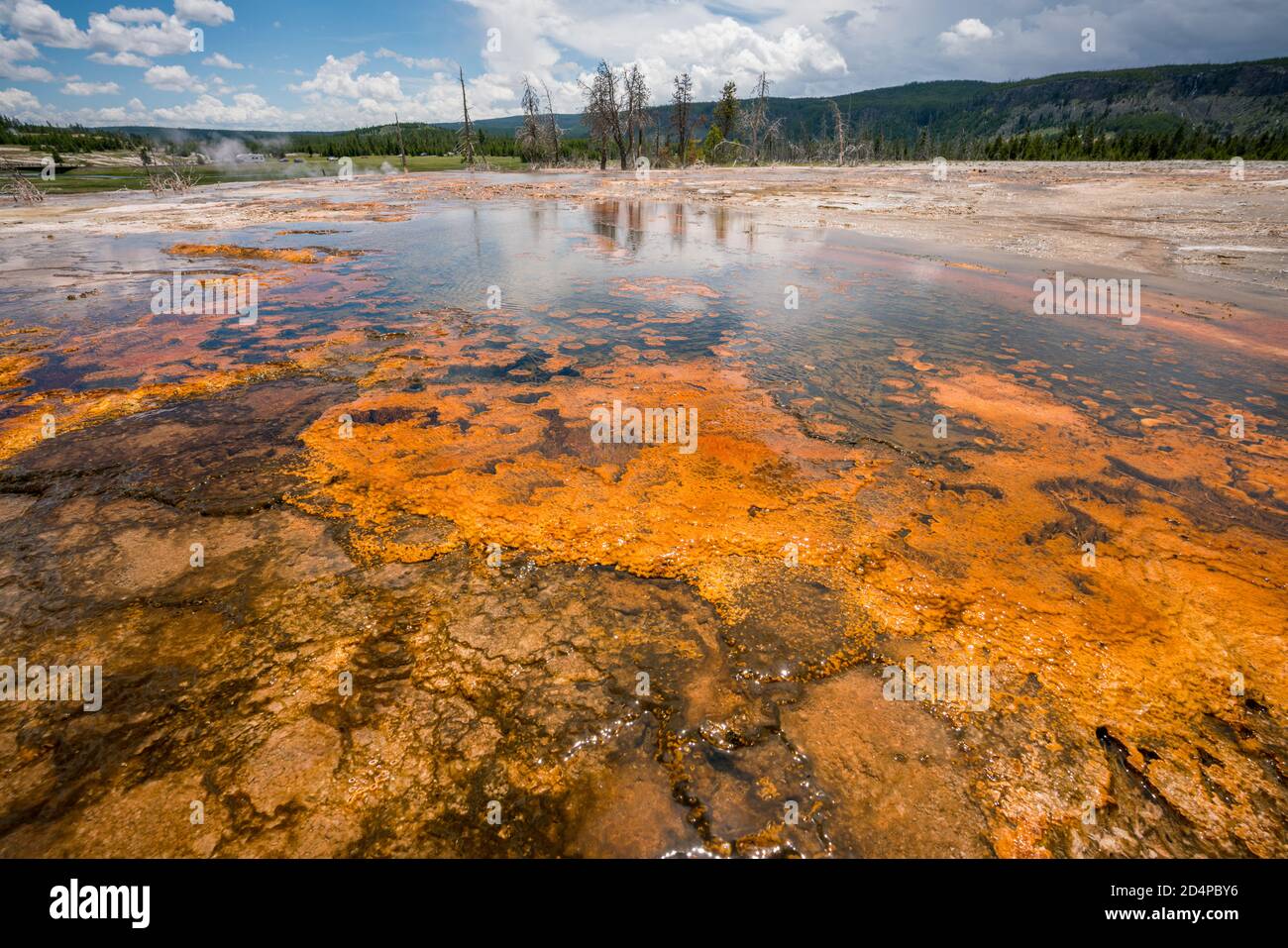 hydrothermal areas of biscuit basin in yellowstone national park in ...