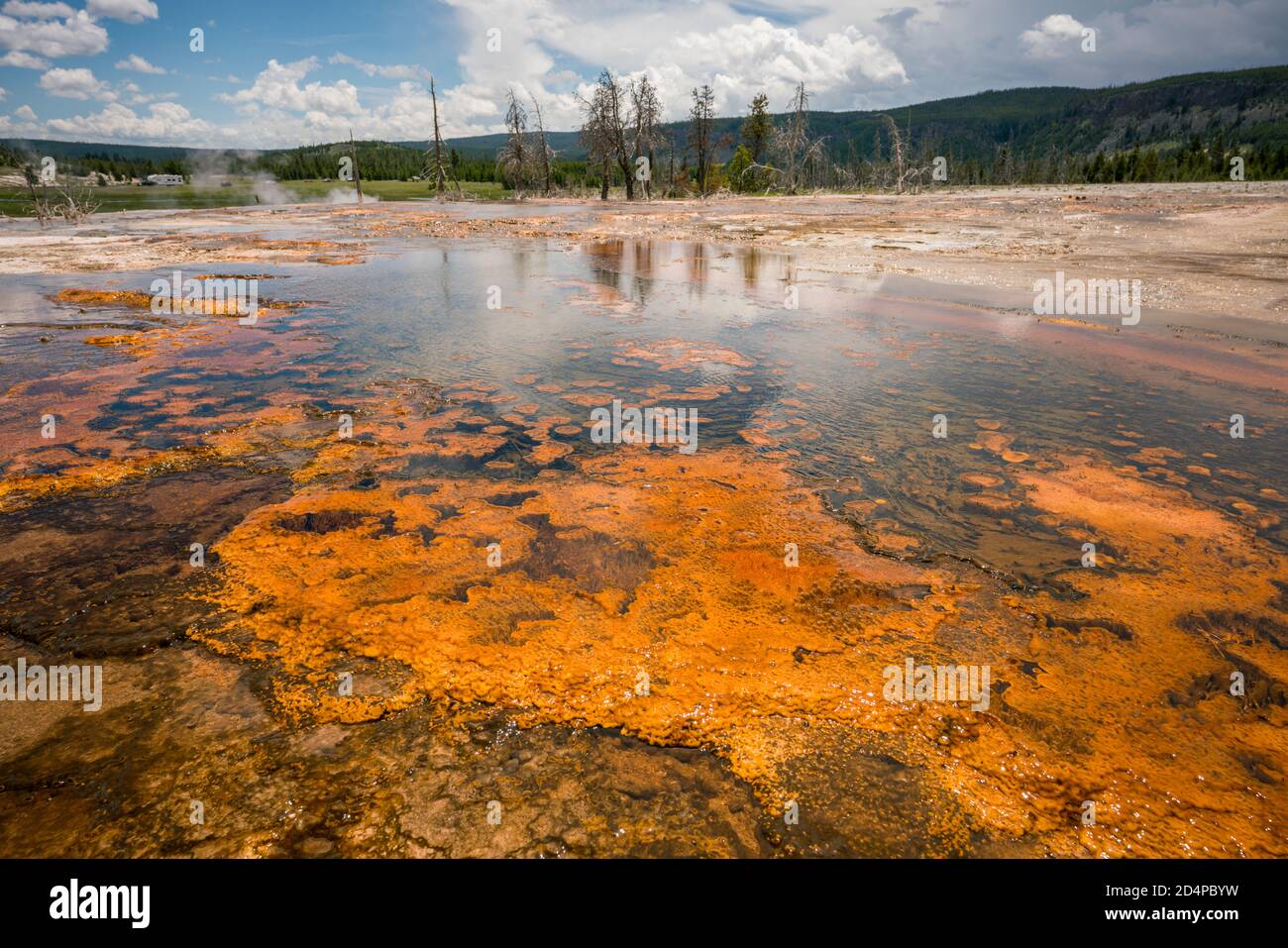 hydrothermal areas of biscuit basin in yellowstone national park in ...