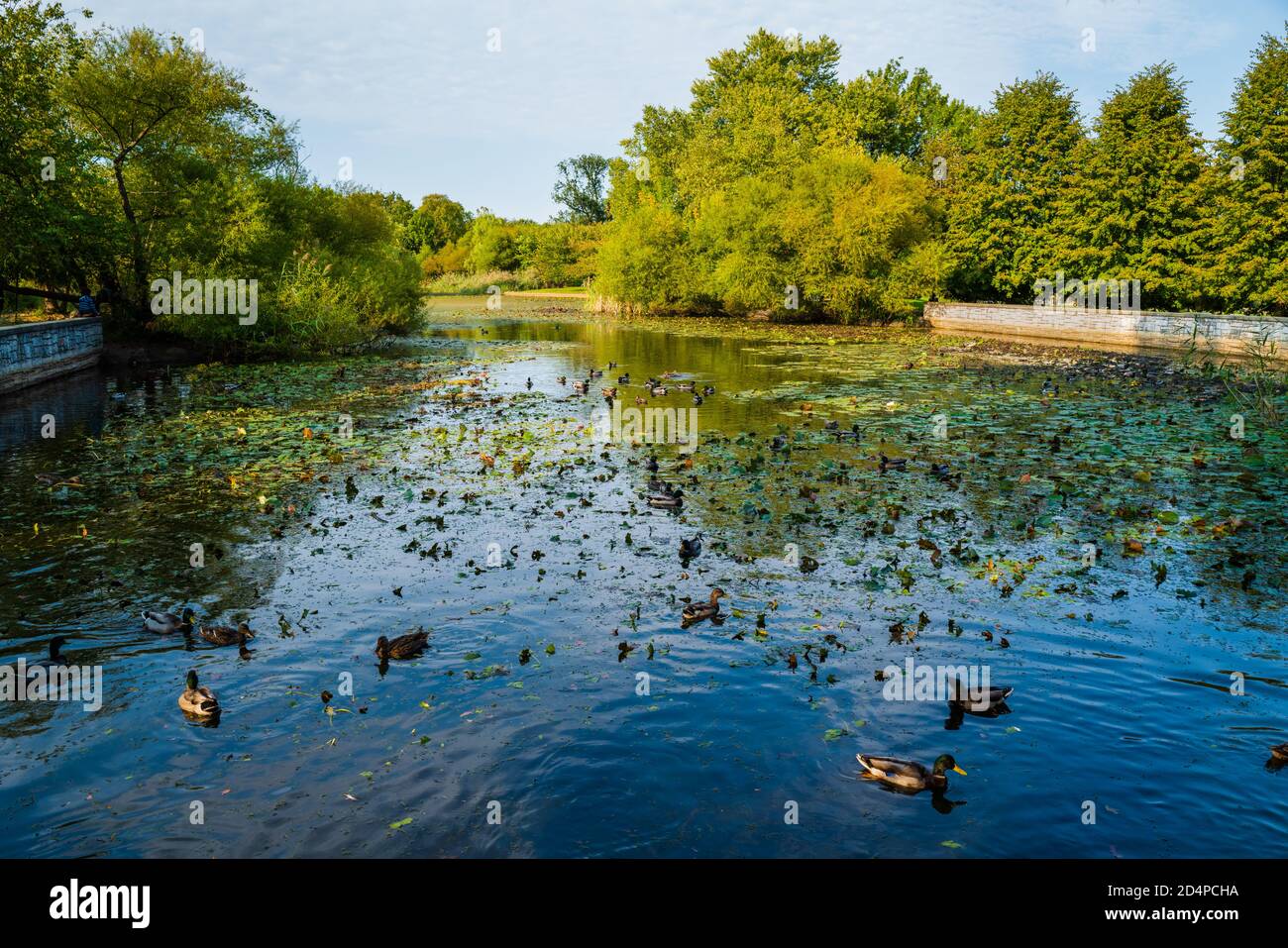 A wide angle landscape photo of the duck pond in Patterson Park ...