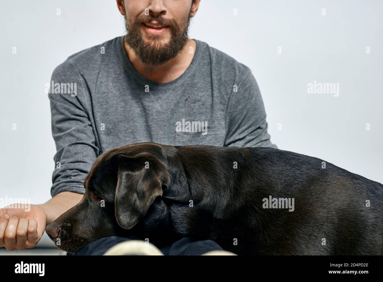 happy owner with pet black dog training model emotions Stock Photo - Alamy
