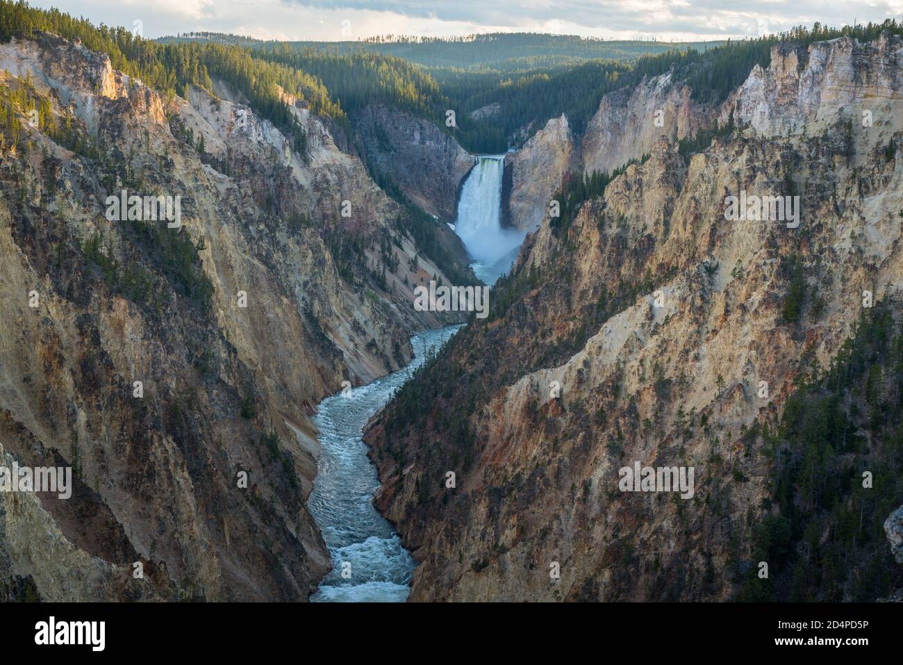 lower falls of the yellowstone national park from artist point at ...