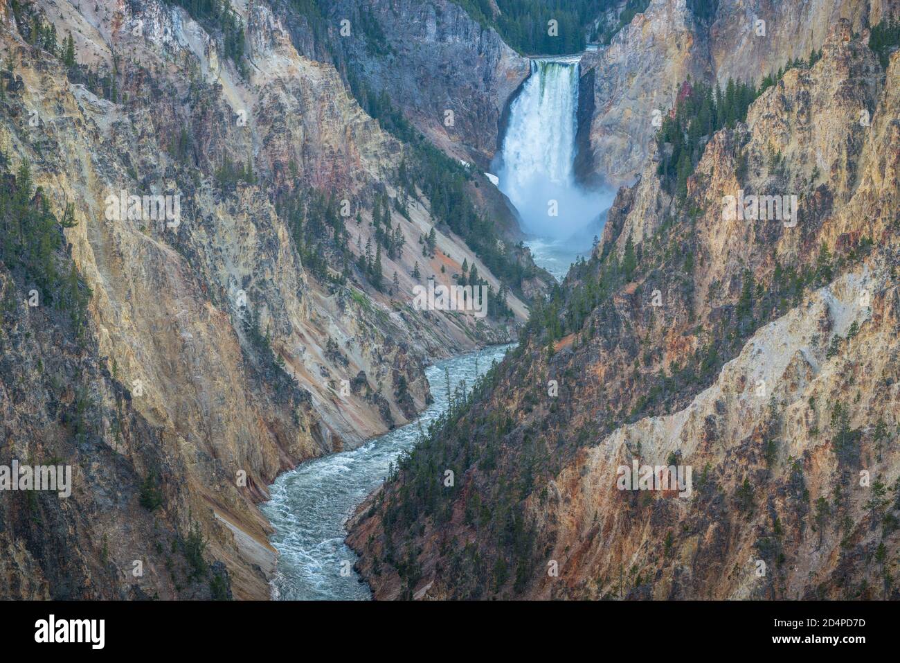 lower falls of the yellowstone national park from artist point at ...