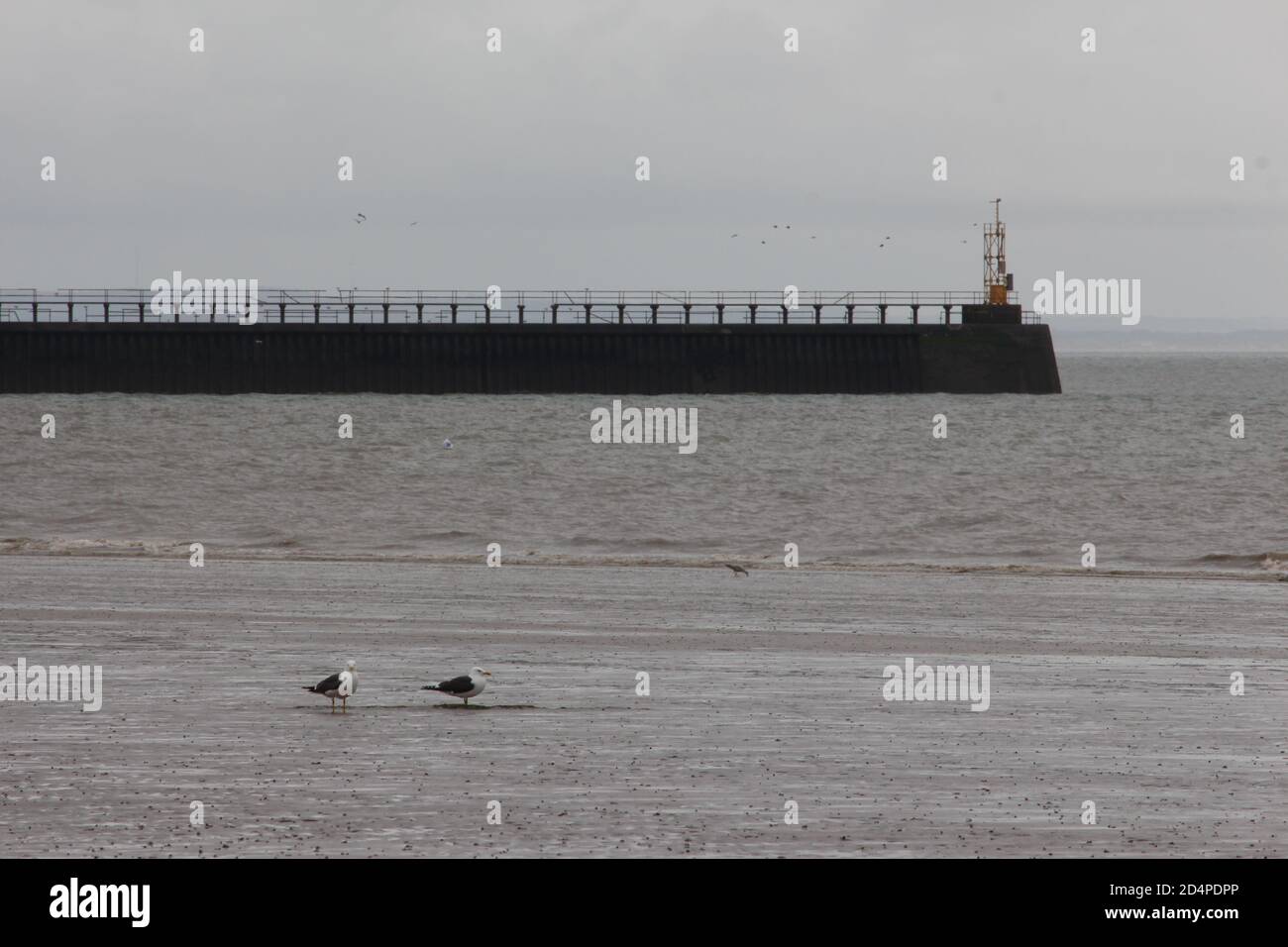 A photograph of a long pier out to sea at Aberafan beach, south Wales ...