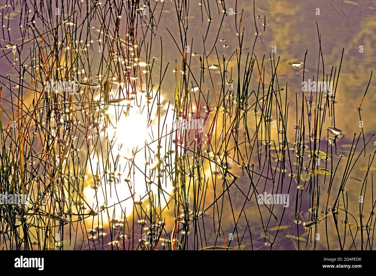 Wings reflecting sunlight hi-res stock photography and images - Alamy