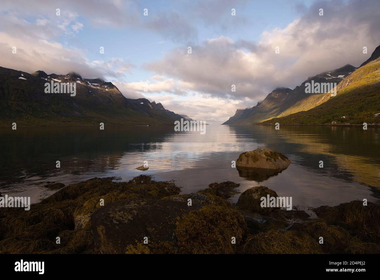 Ersfjord hi-res stock photography and images - Alamy