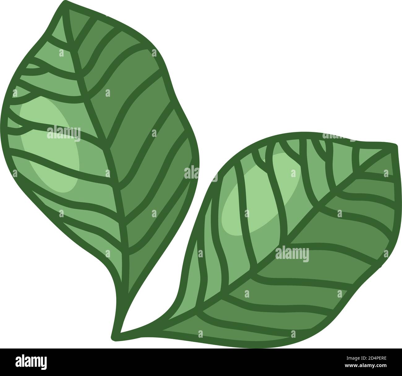 two leaves line and fill style icon design of Natural floral nature and ...