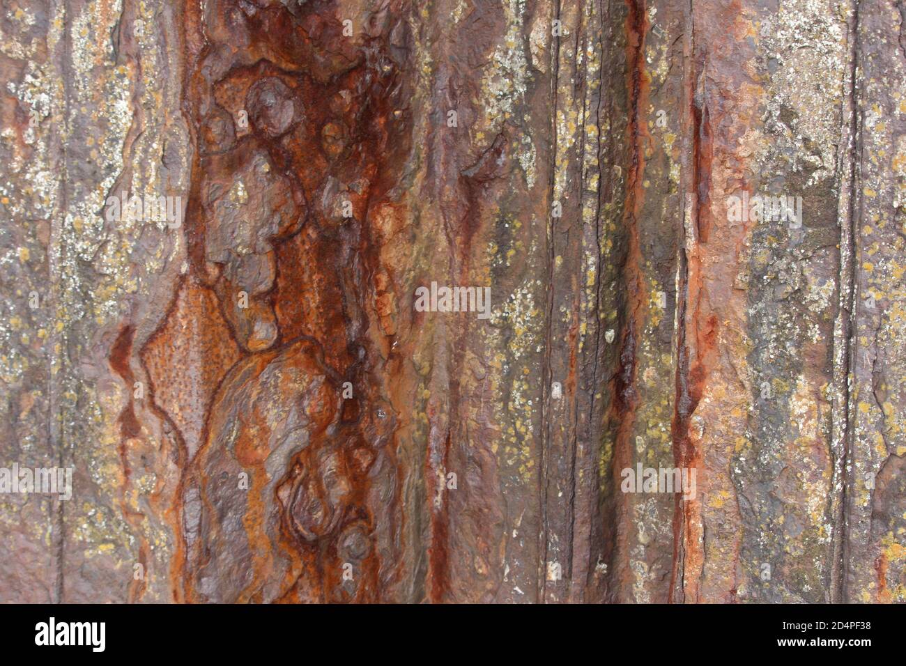 A close up photograph of harbour protection on the coast in Wales. Old ...